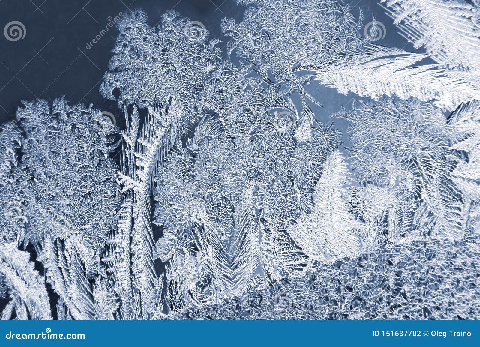 Unique Ice Patterns on Window Glass. Seasons of Nature and Uniqueness ...