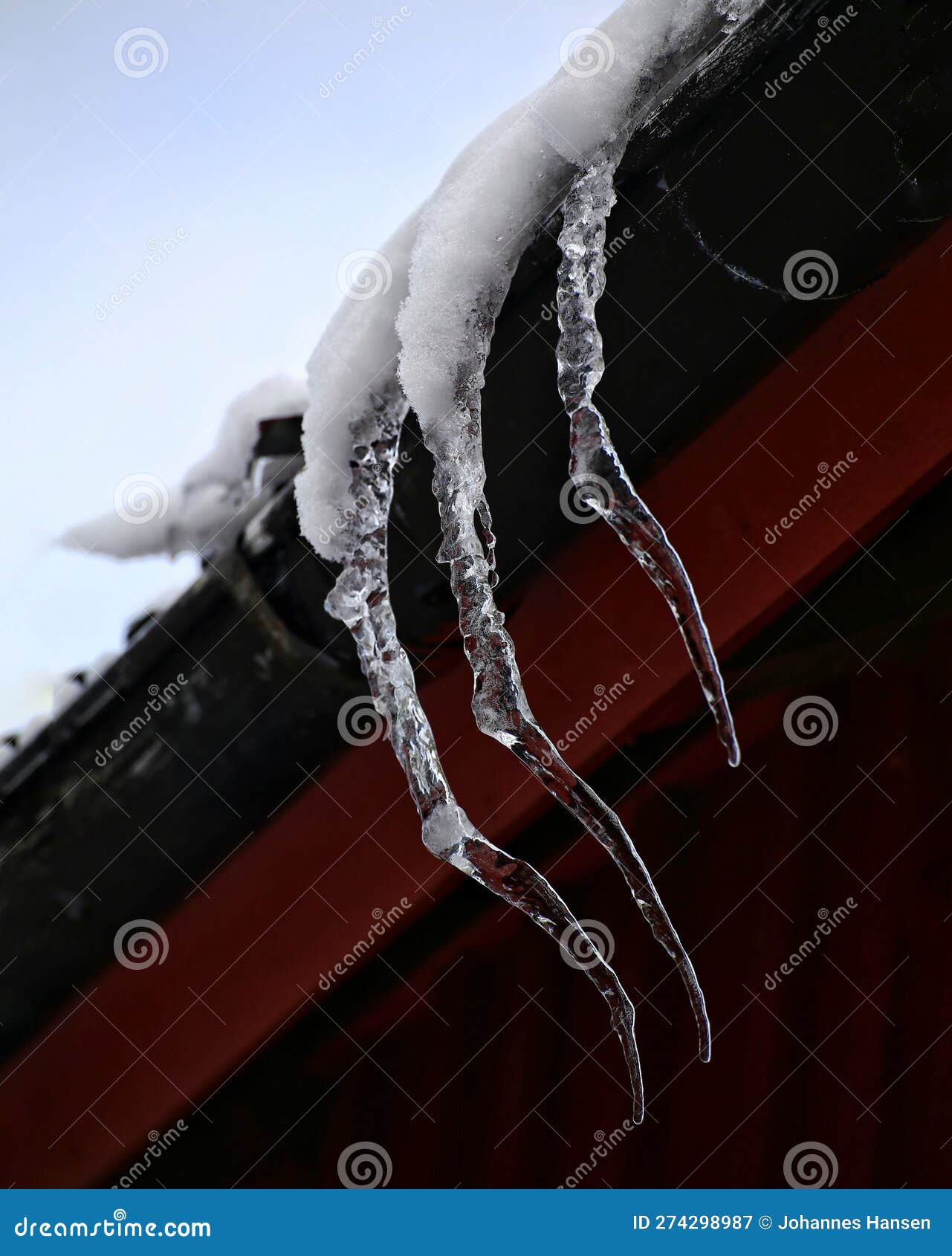 Unique Icicles at the Edge of the Roof, Shaped Like Hands or Claws ...
