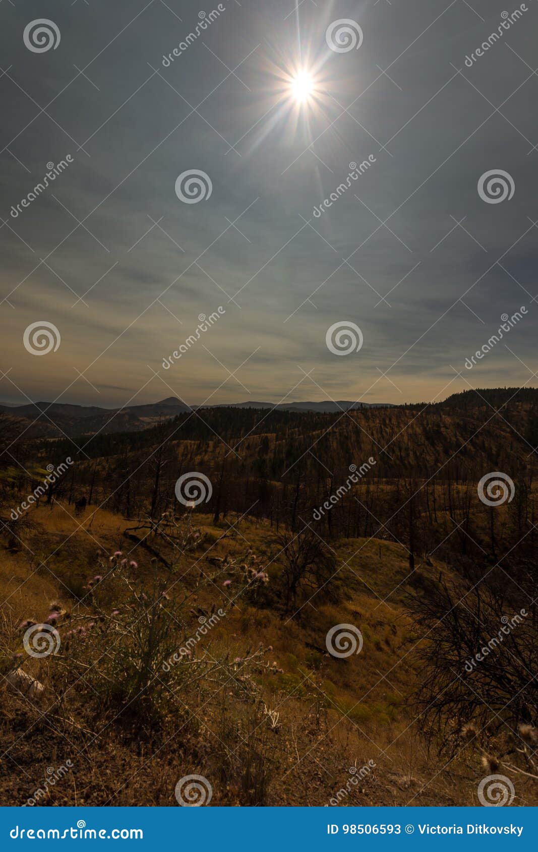 Unique Moment. Mountain Landscape Under Full Solar Eclipse Stock Image ...