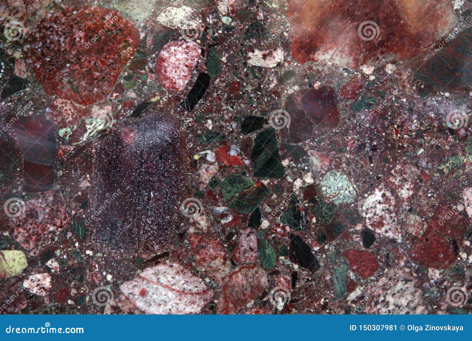 Unique Multi-colored Marble Tiles for Decorative Cladding and Finishing ...