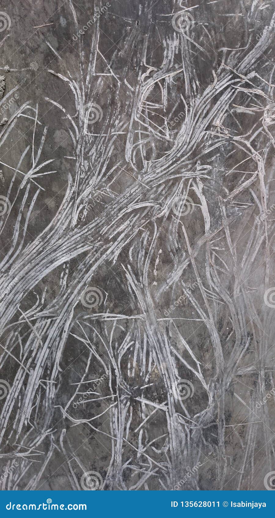 Root Texture on the Wall Photo Stock Image - Image of beautiful ...