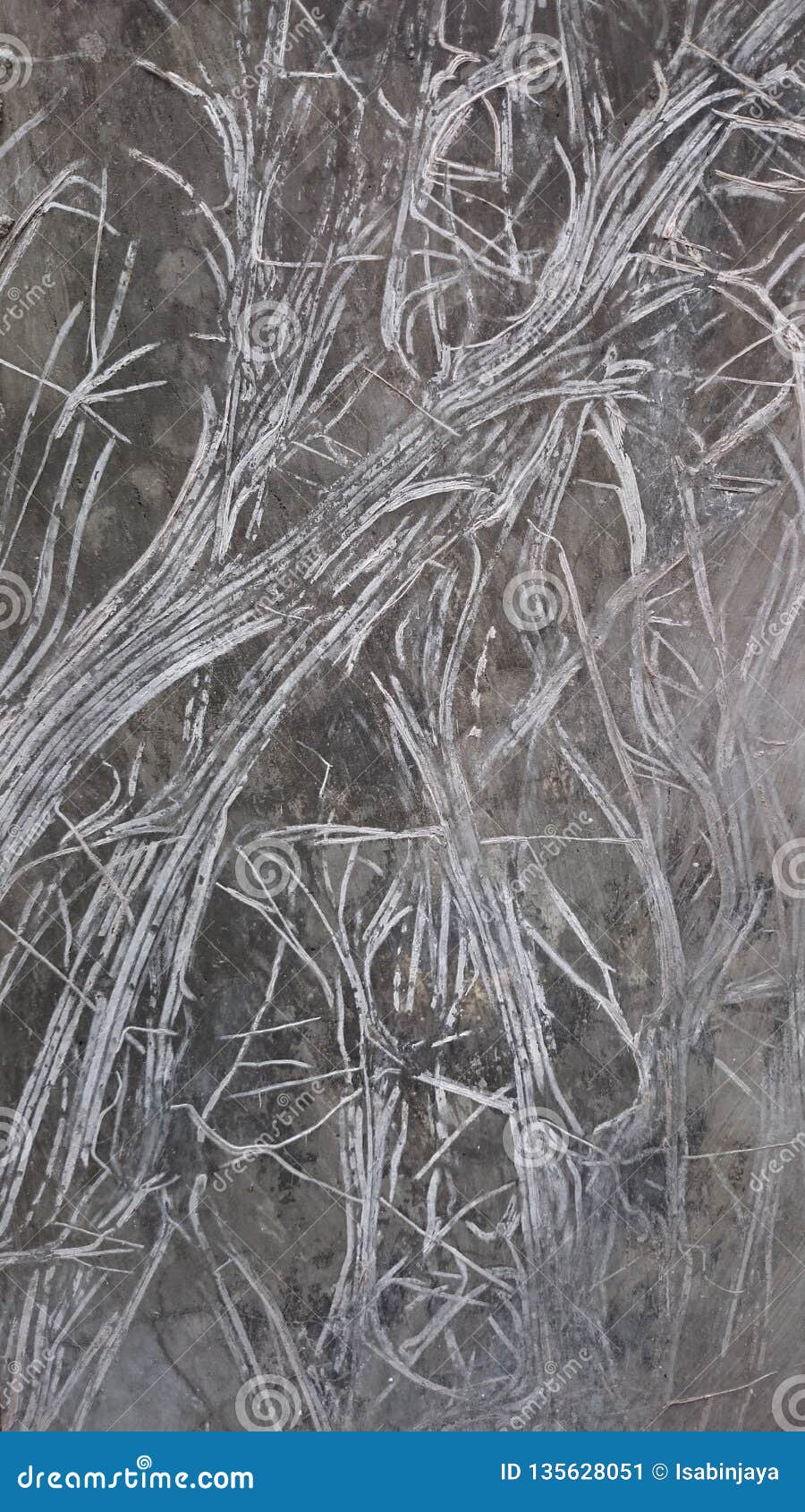 Root Texture on the Wall Photo Stock Image - Image of detail, material ...