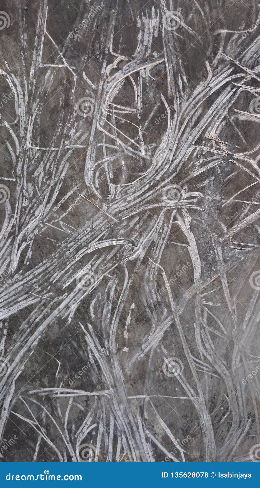 Root Texture on the Wall Photo Stock Photo - Image of plant, beautiful ...