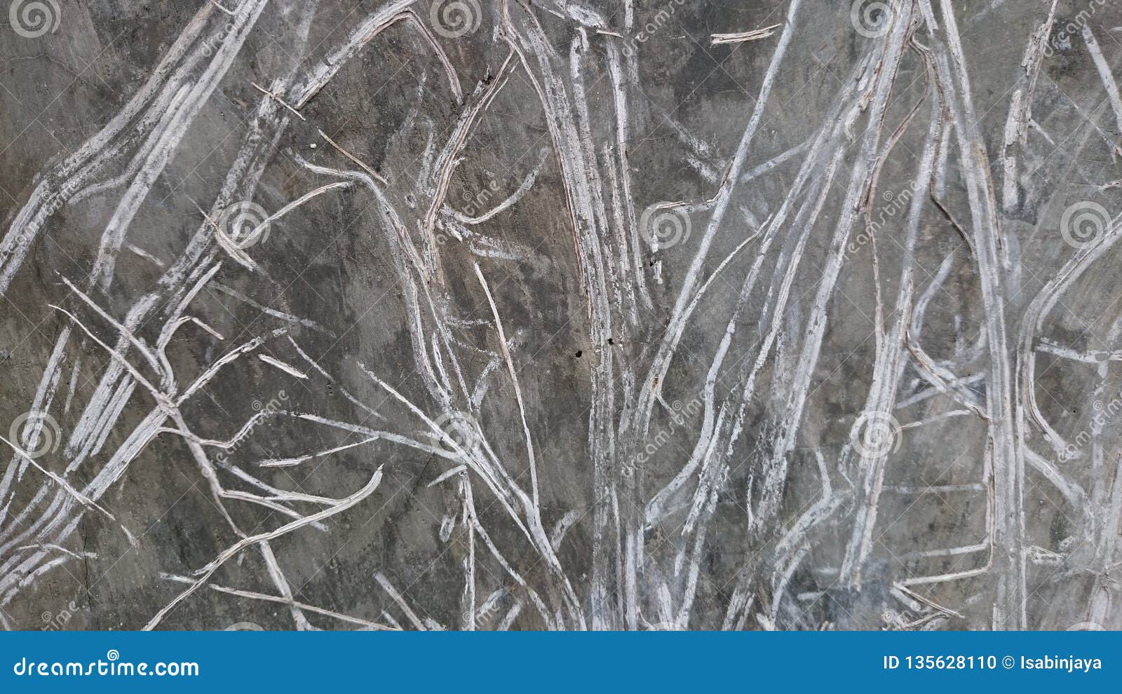 Root Texture on the Wall Photo Stock Photo - Image of surface, closeup ...