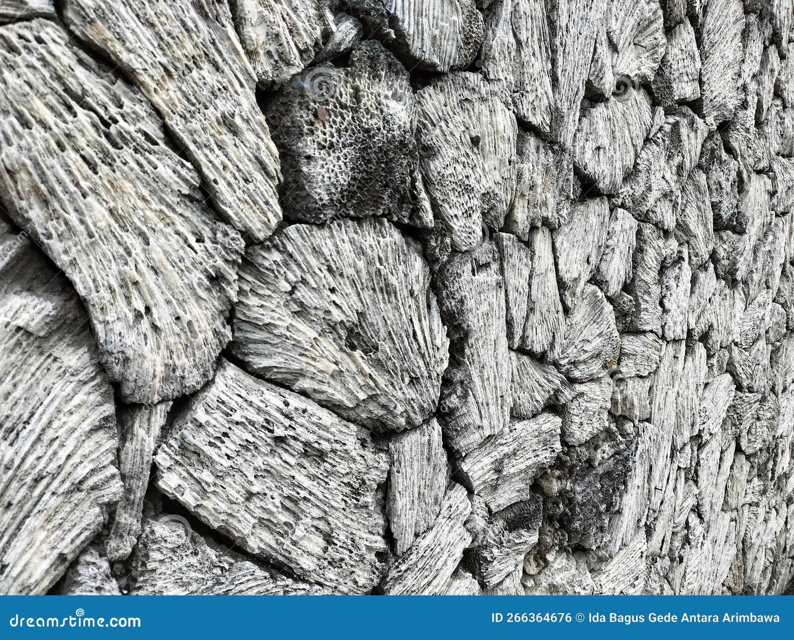 Unique ocean stone wall stock photo. Image of plant - 266364676