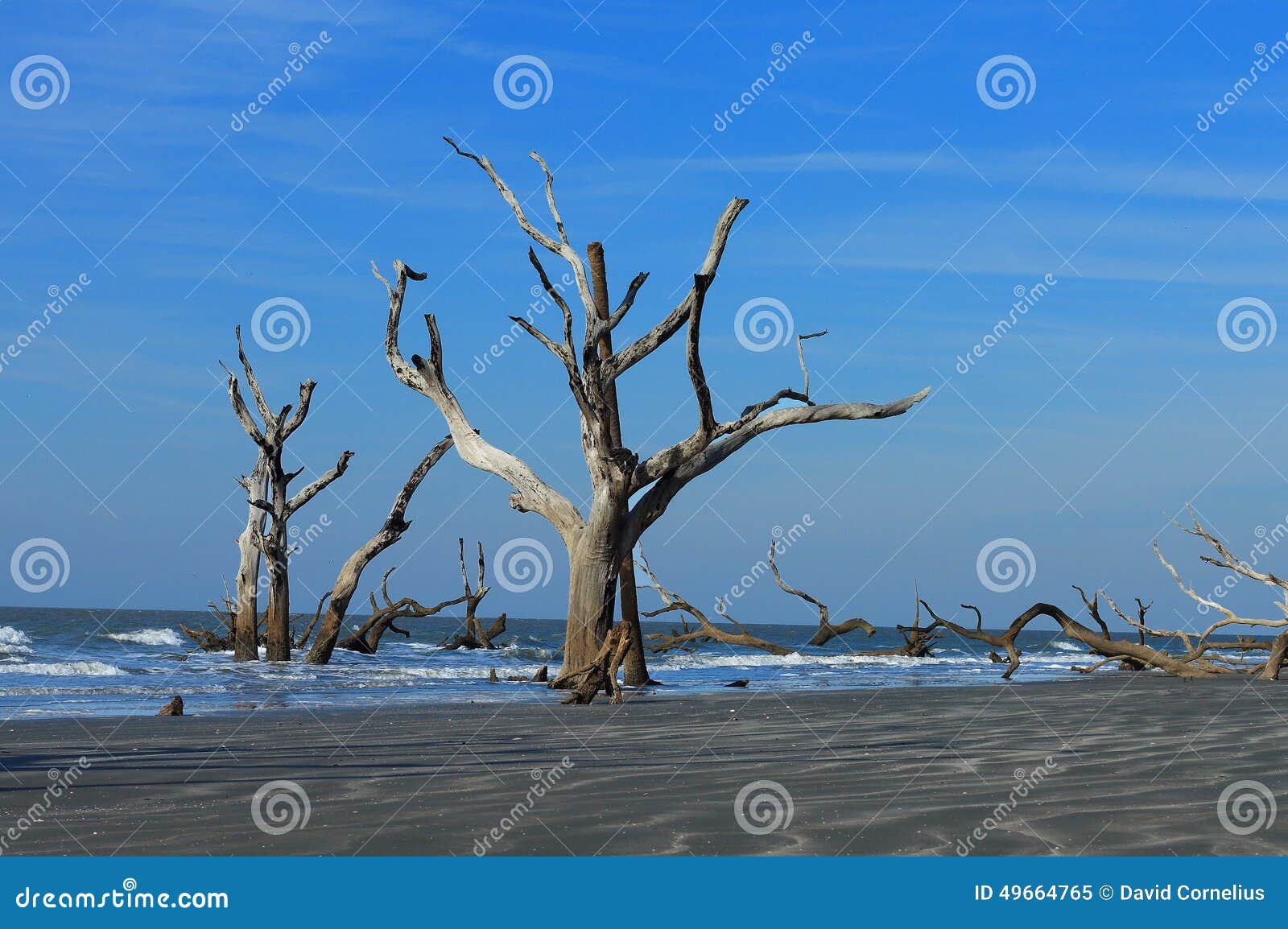 Unique Ocean stock image. Image of scene, sunset, beach - 49664765