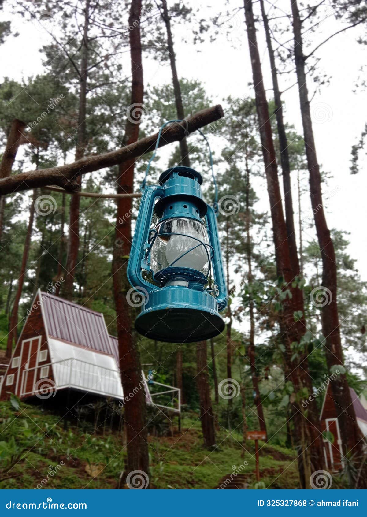 Unique Old Style Lamp with Fire Lighting in the Forest Stock Photo ...