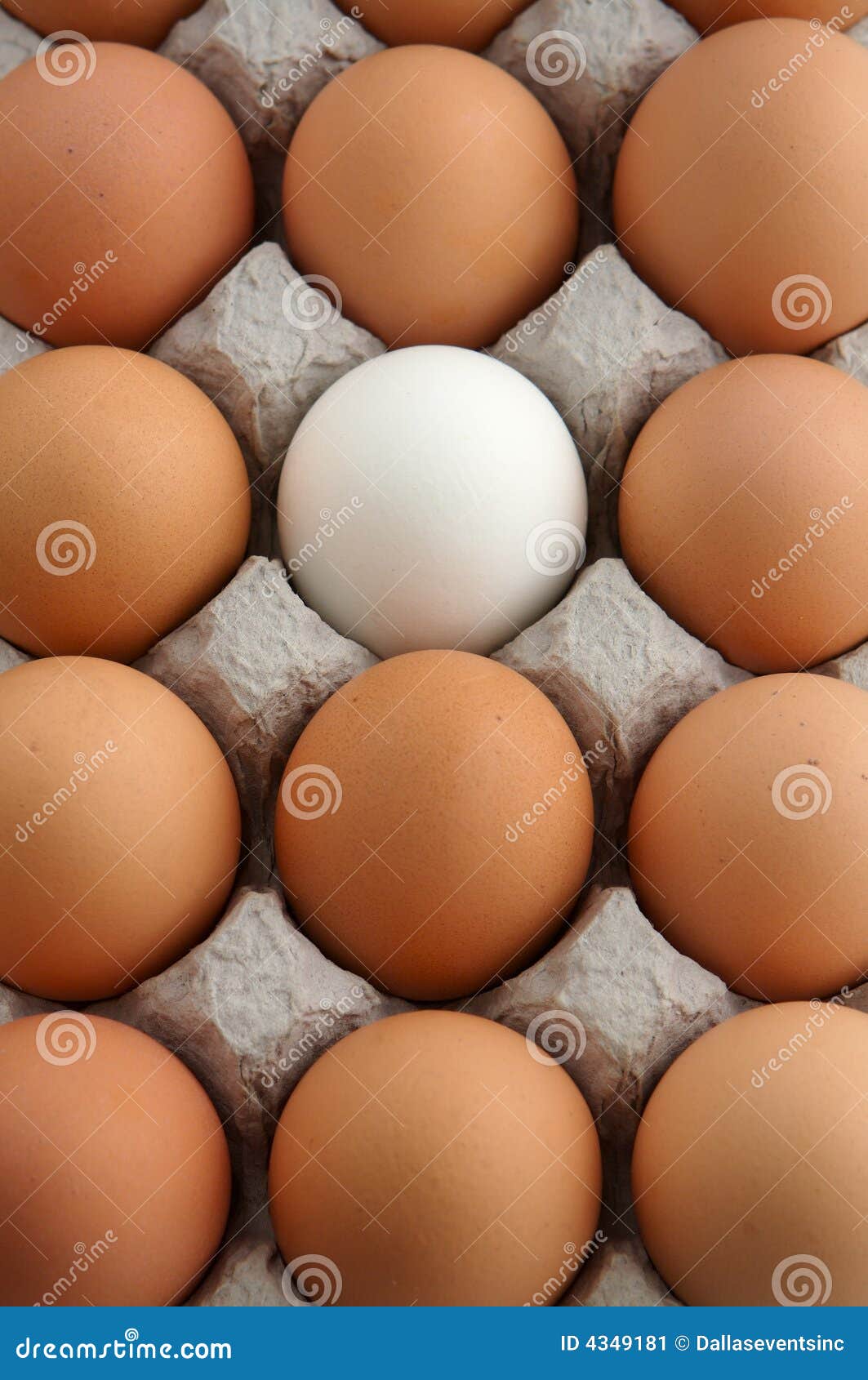 The unique one stock image. Image of contrast, distinct - 4349181