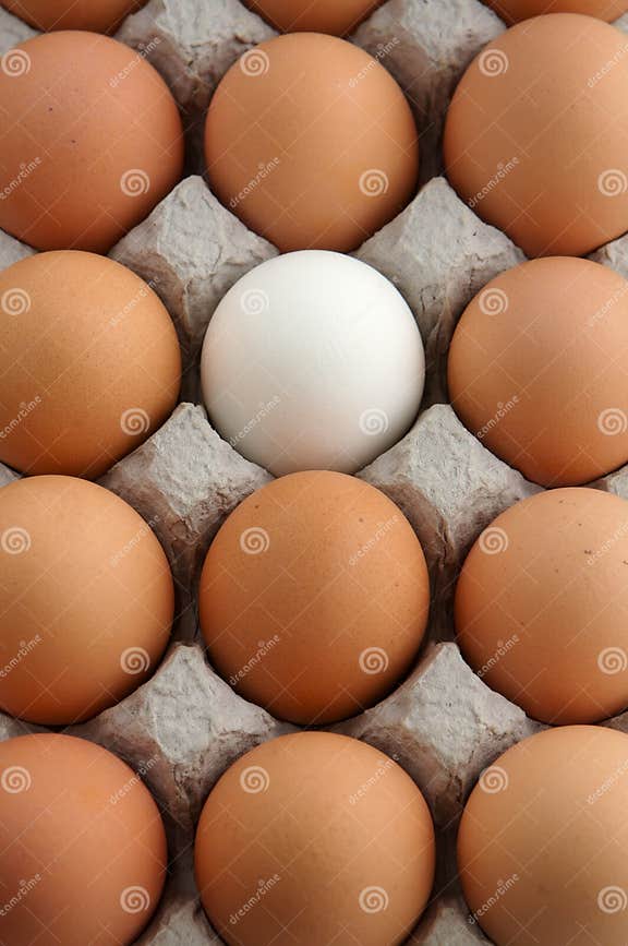 The unique one stock image. Image of contrast, distinct - 4349181