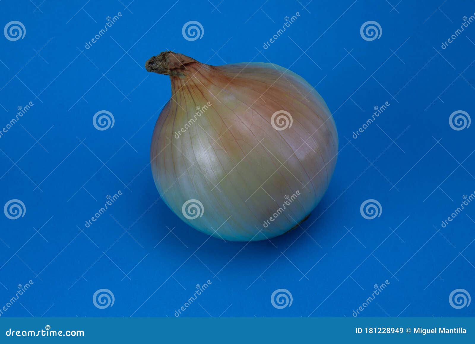 Unique Onion Focused on an Electric Blue Texture Stock Image - Image of ...