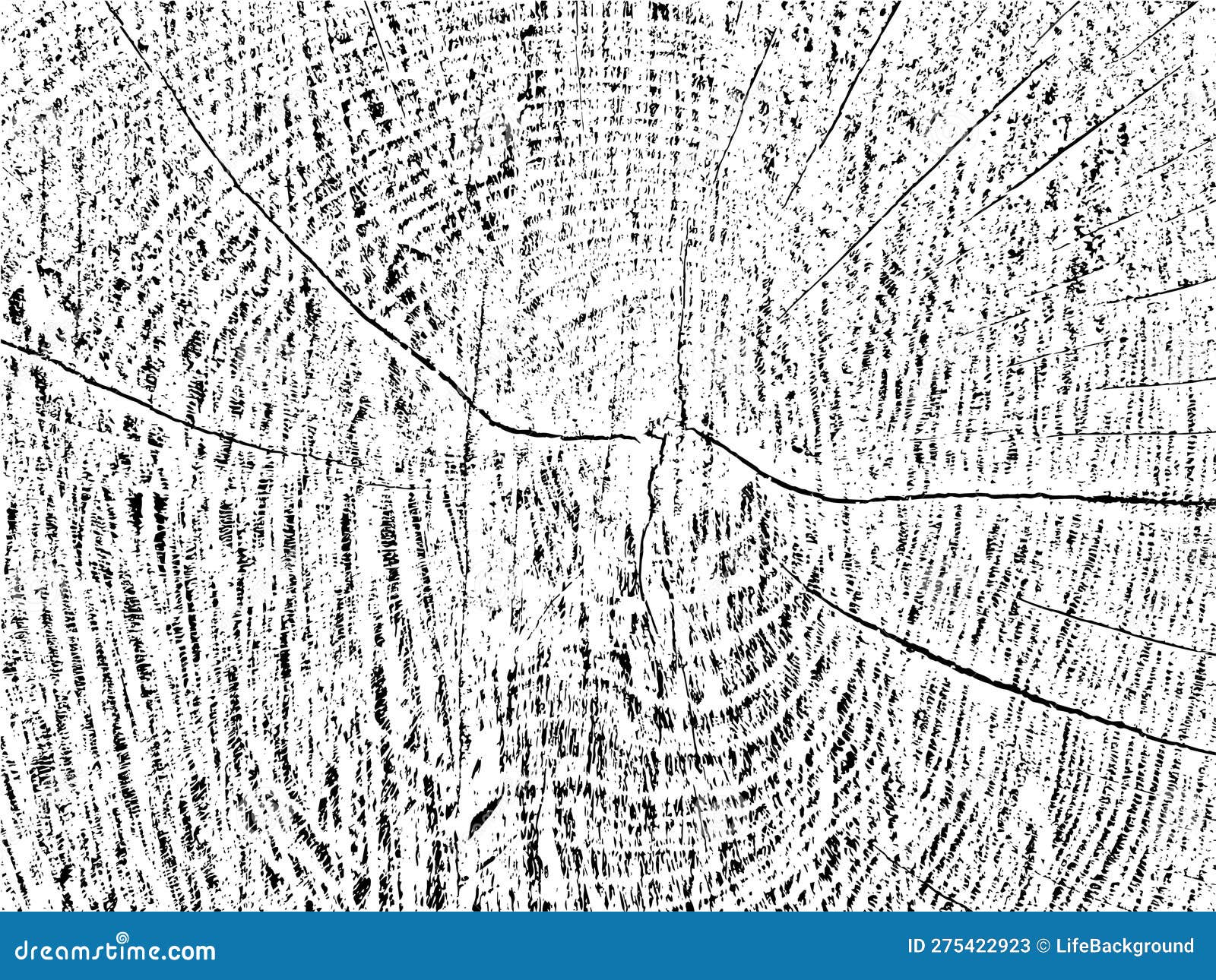 Organic Concentric Circles White Geometrc Shapes Background Wallpaper ...