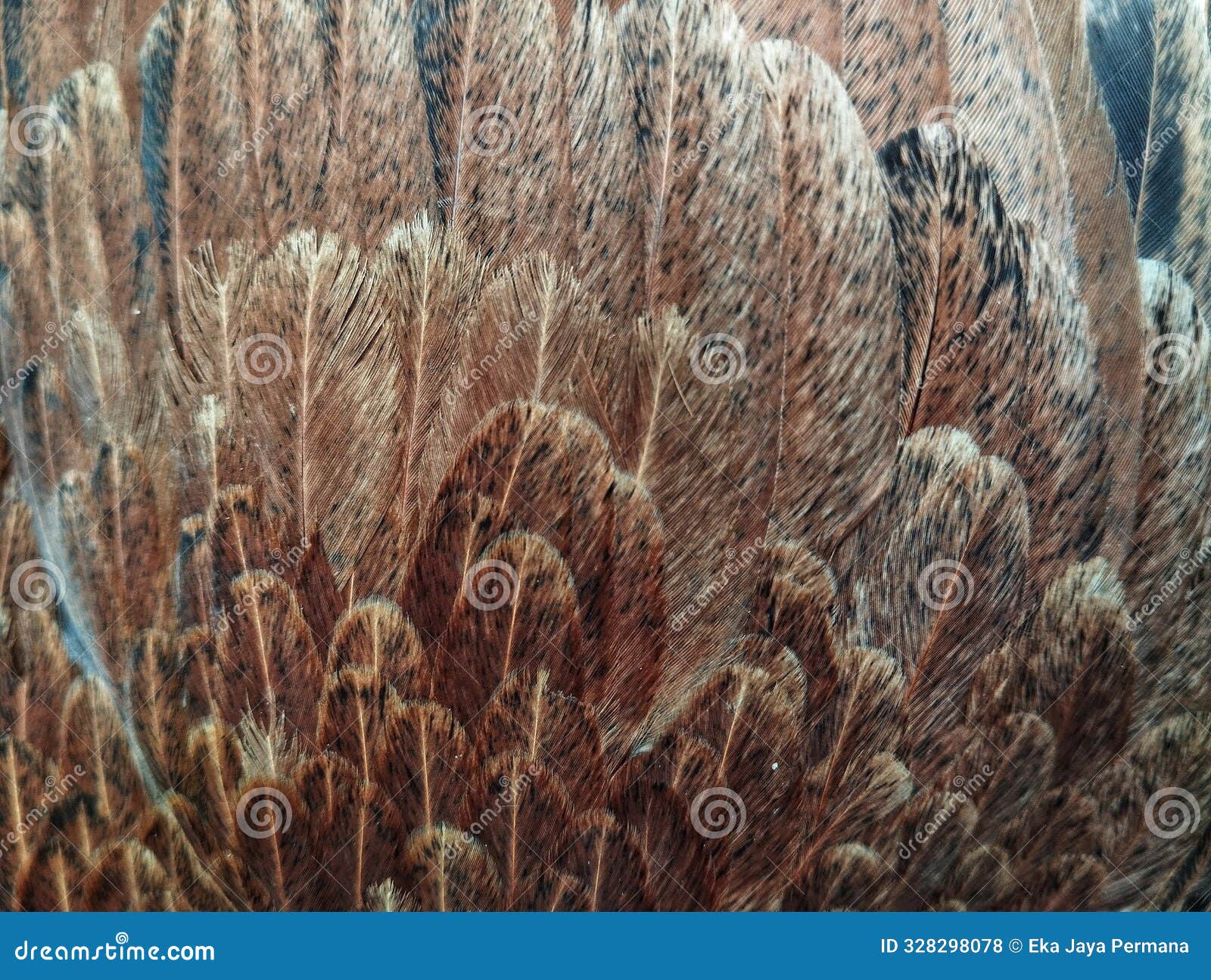 Unique Pattern Chicken Fur Texture for Abstrack Background or 3D ...