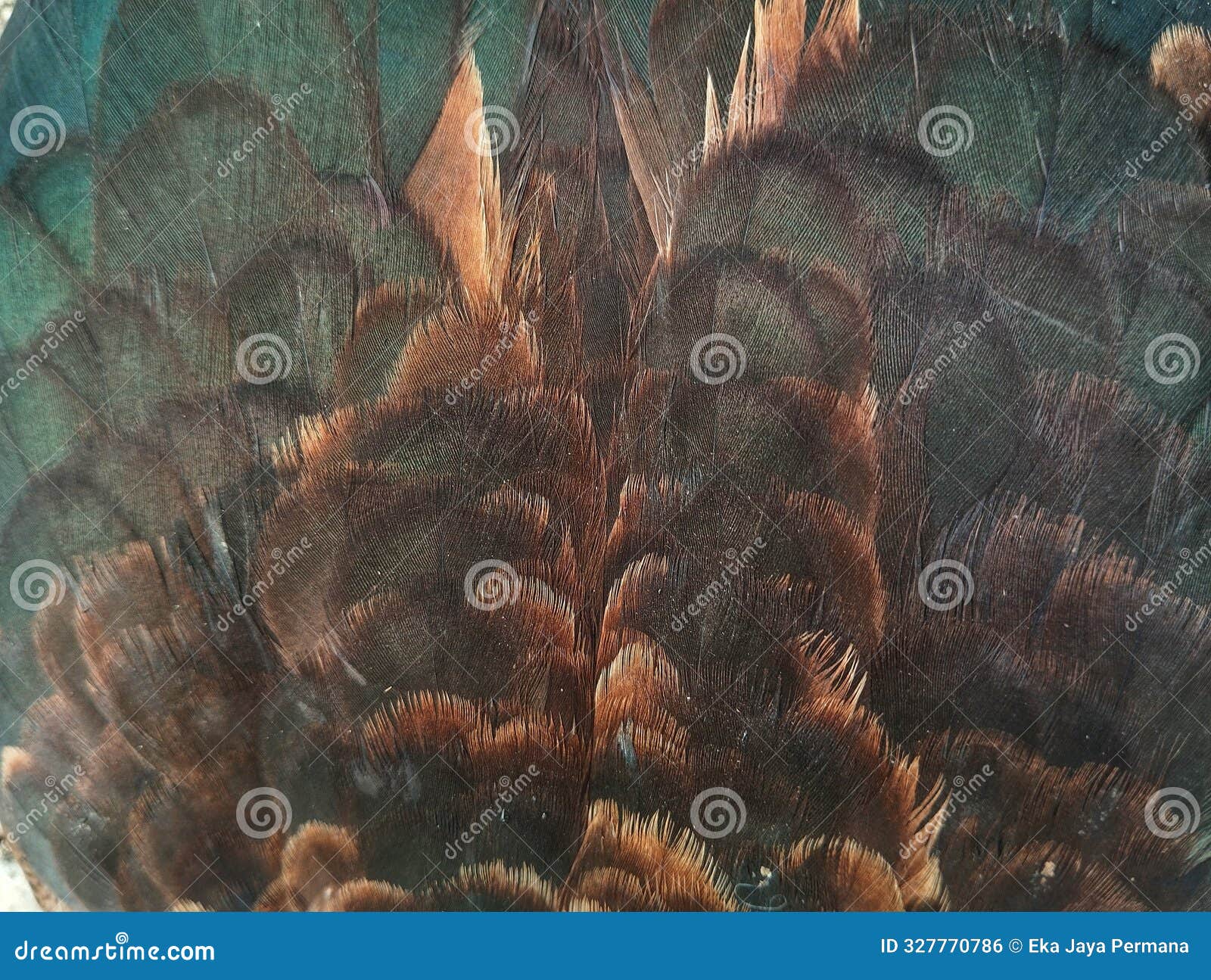 Unique Pattern Duck Fur Texture for Abstrack Background or 3D Rendering ...