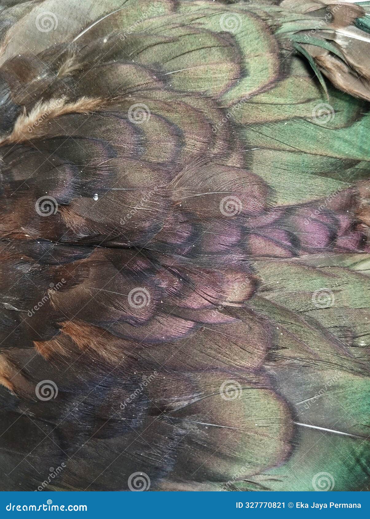 Unique Pattern Duck Fur Texture for Abstrack Background or 3D Rendering ...