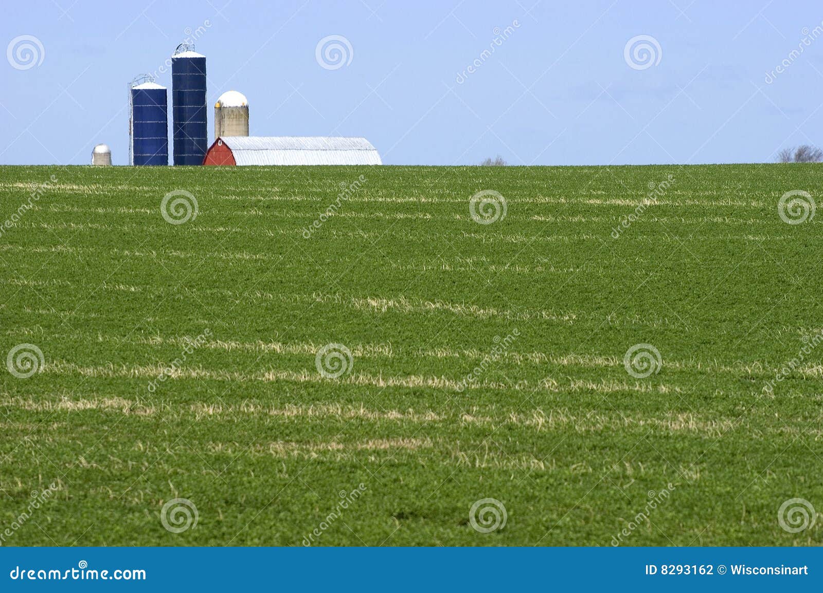 Unique Perspective of Dairy Farm and Hay Field Stock Photo - Image of ...