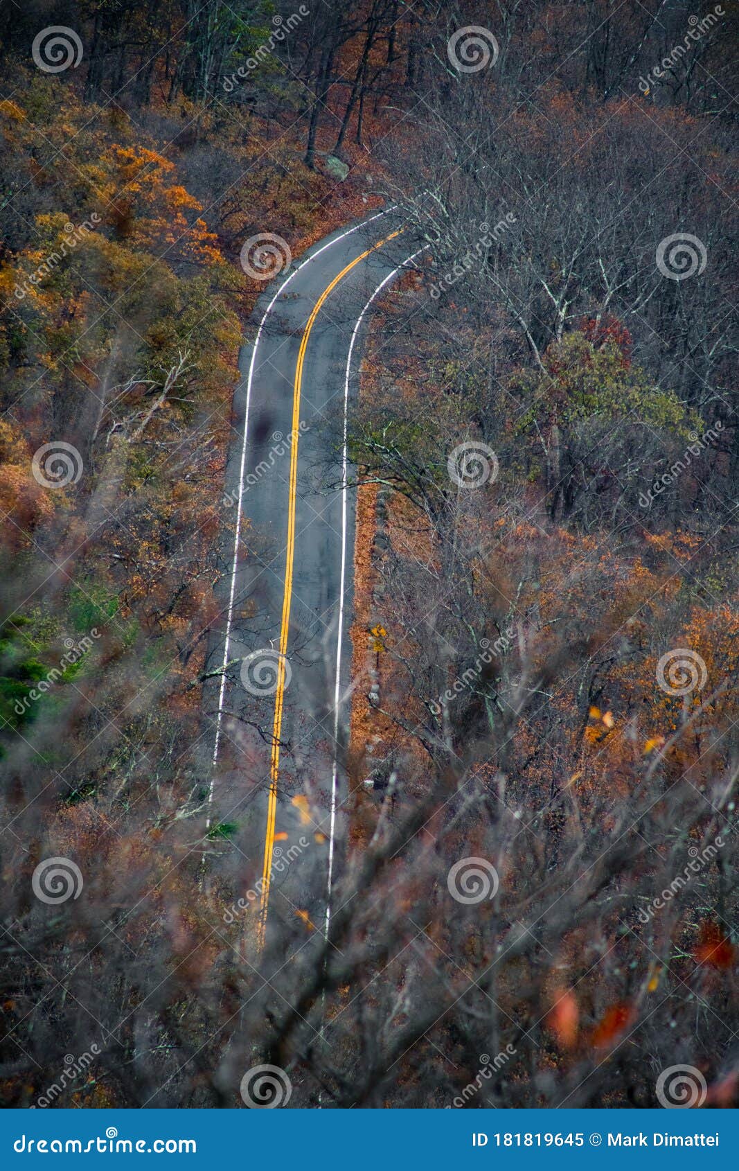 Unique Perspective of Mountain Road with Fall Covered Trees and Leaves ...