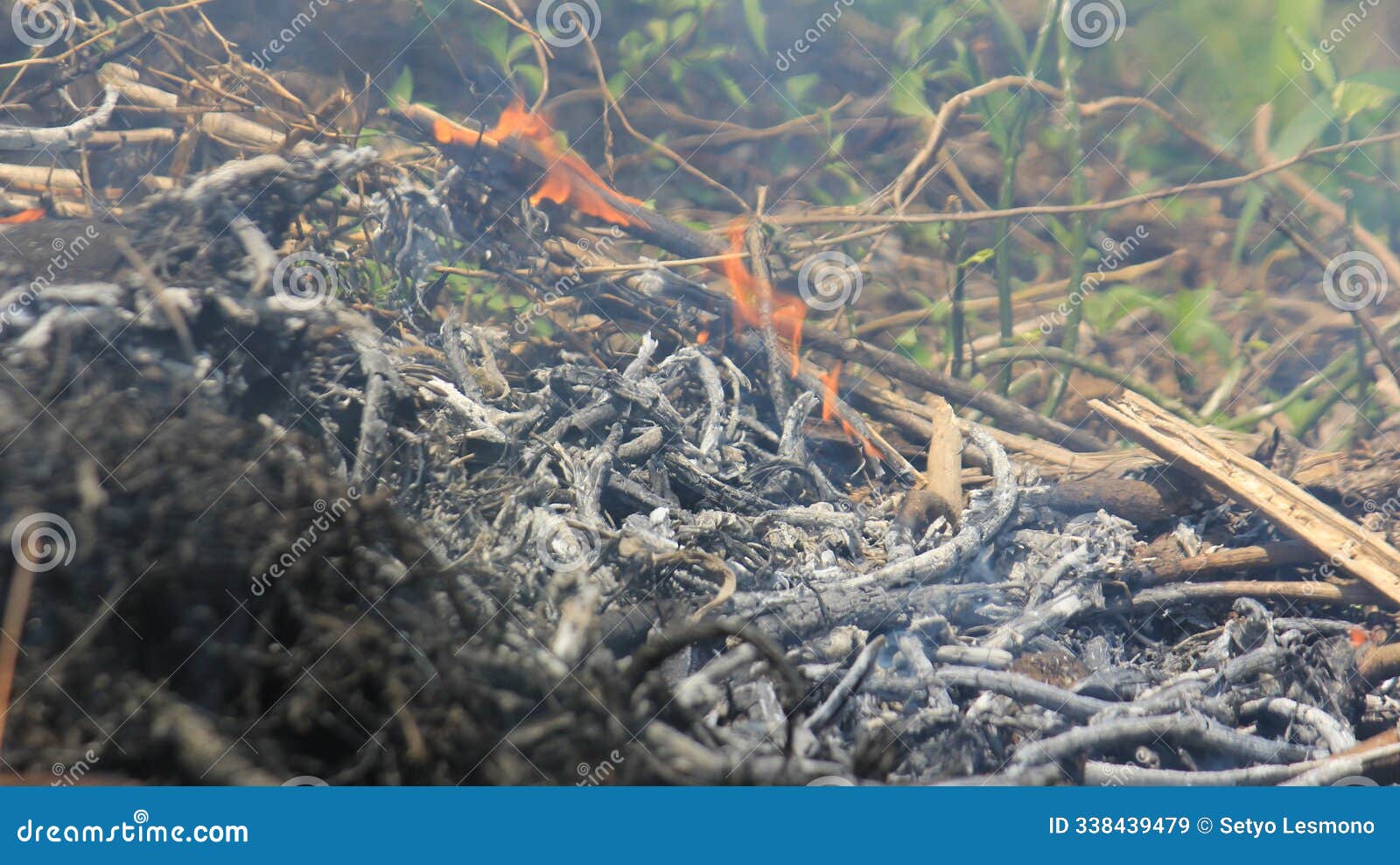 A Unique Photo. Fire and Burn Marks Stock Image - Image of grass ...