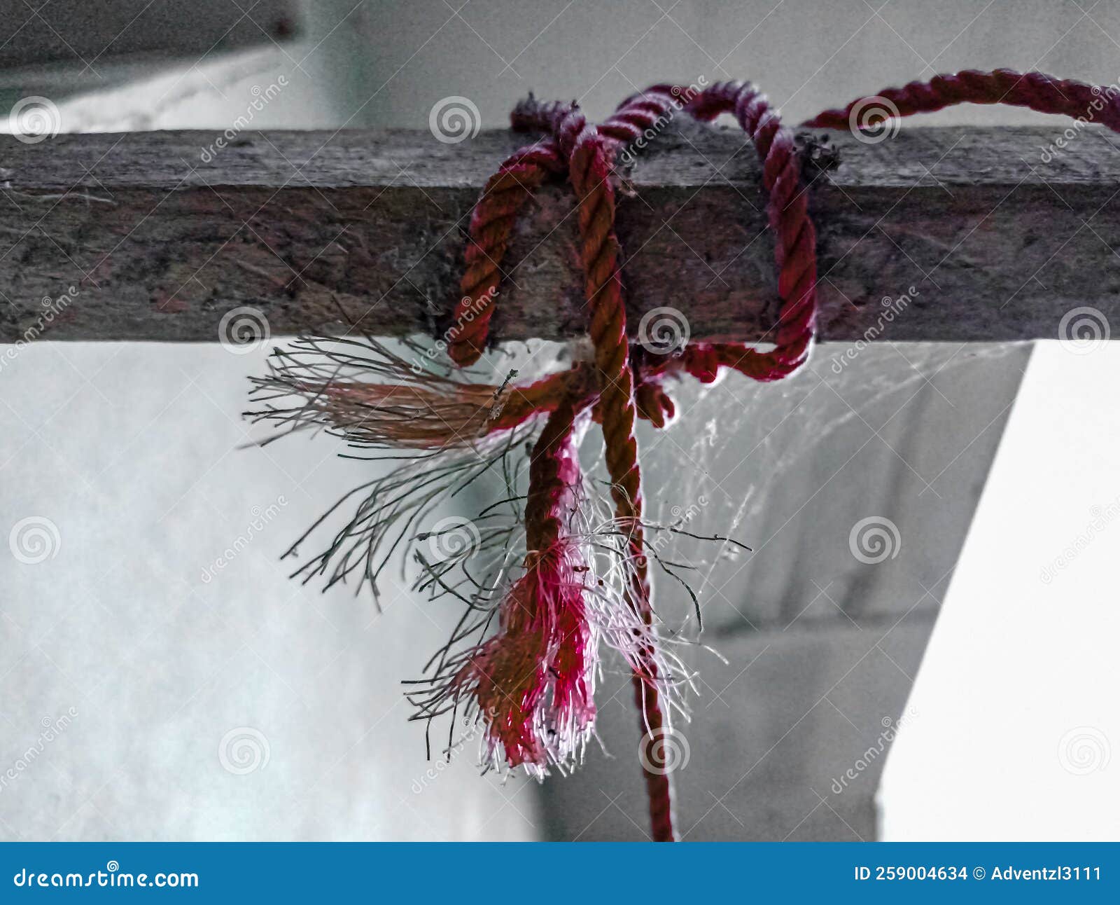 Unique photo shoot of rope stock photo. Image of iron - 259004634