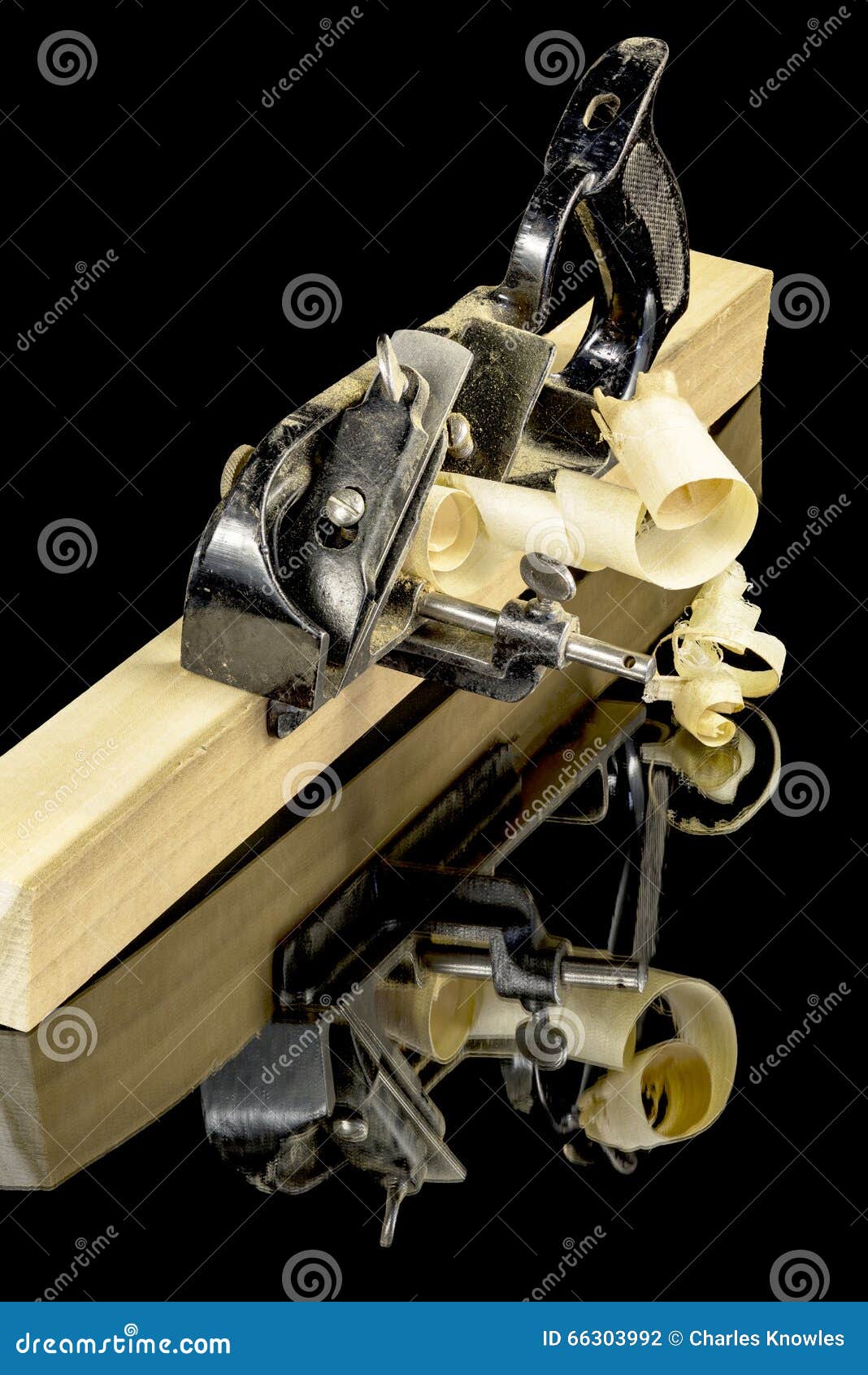 Rabbit Plainer Stock Photos - Free & Royalty-Free Stock Photos from ...