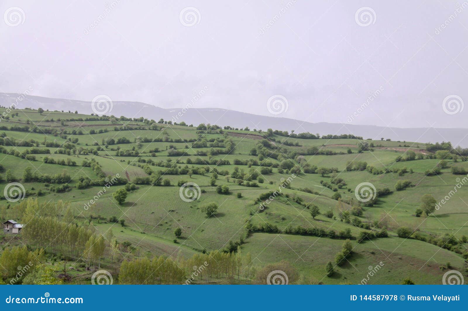 Unique Plains Landscape with Trees in North of Iran, Gilan Stock Photo ...