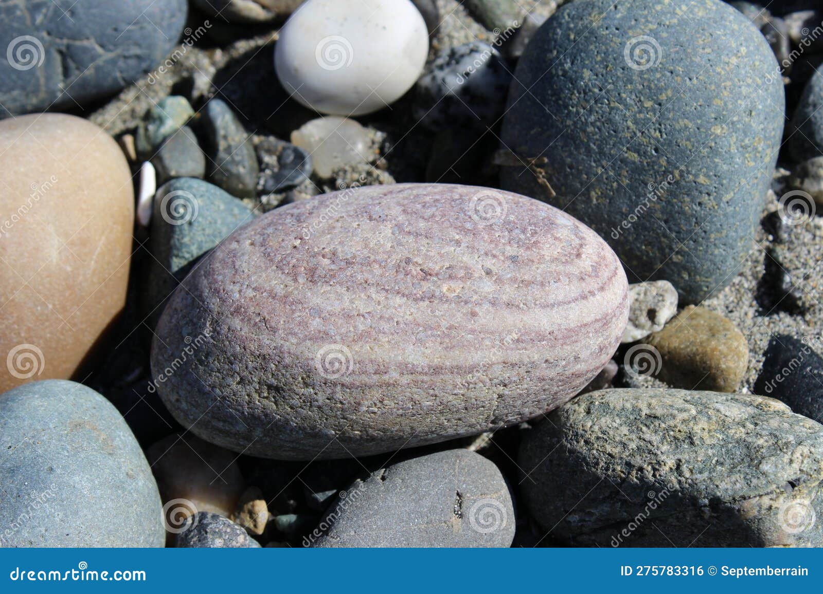 Unique Metamorphic Rock Formations Lead To Maine Lighthouse Stock Image ...