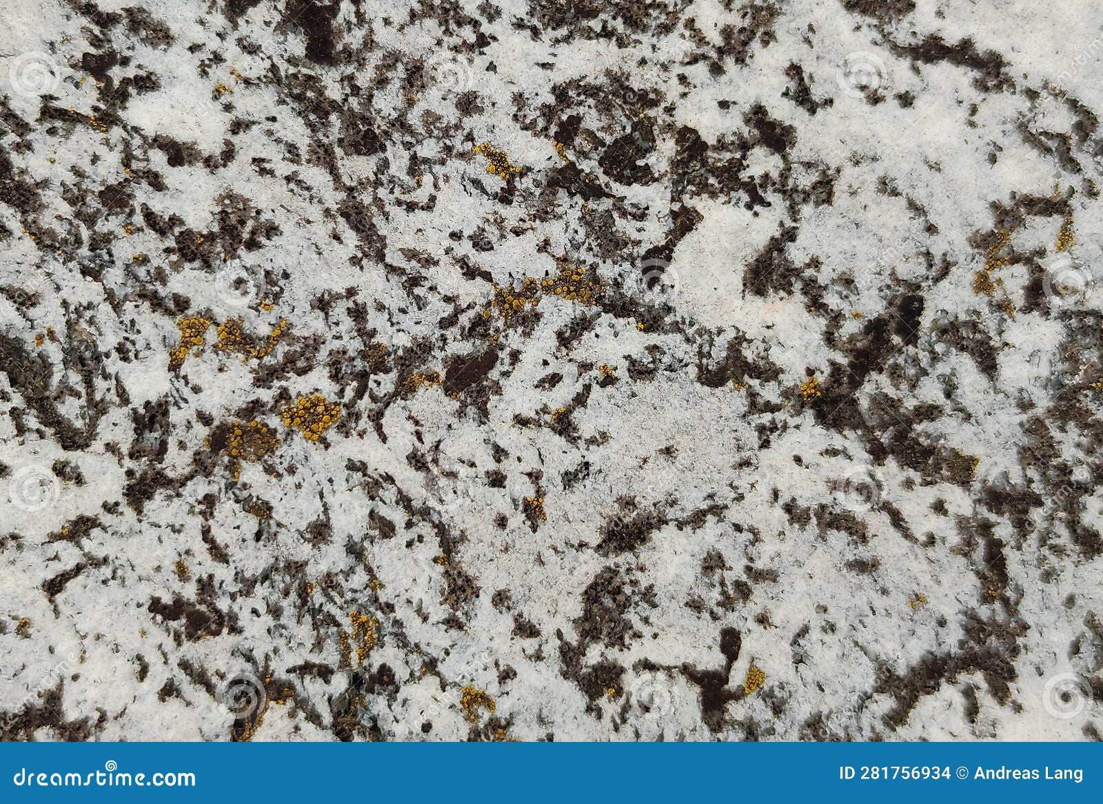 Unique Real Marble Texture Rough Pattern Image Abstract Background Art ...