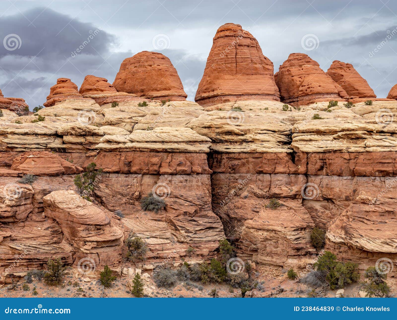 Unique Rock Formations and Textures in Canyonlands Utah Stock Image ...