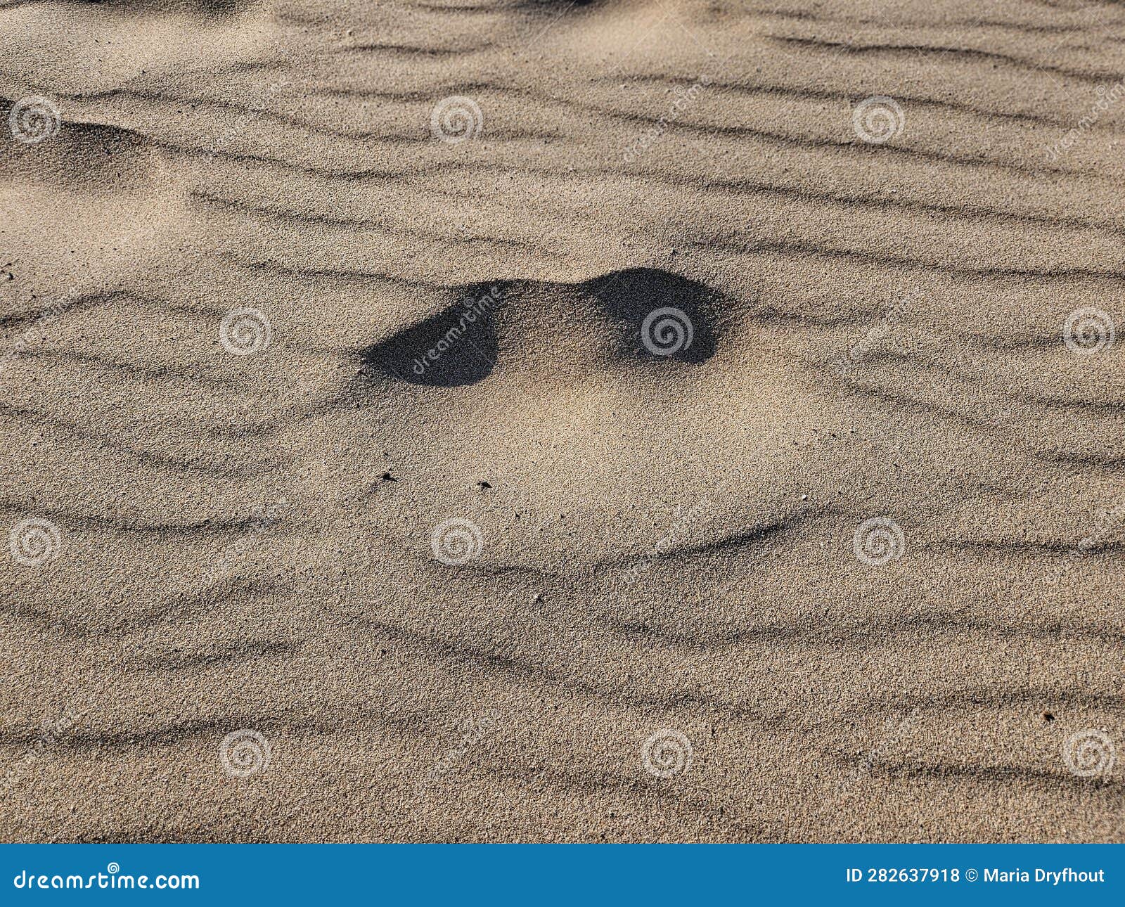 Unique Sand Face Pattern stock photo. Image of brown - 282637918