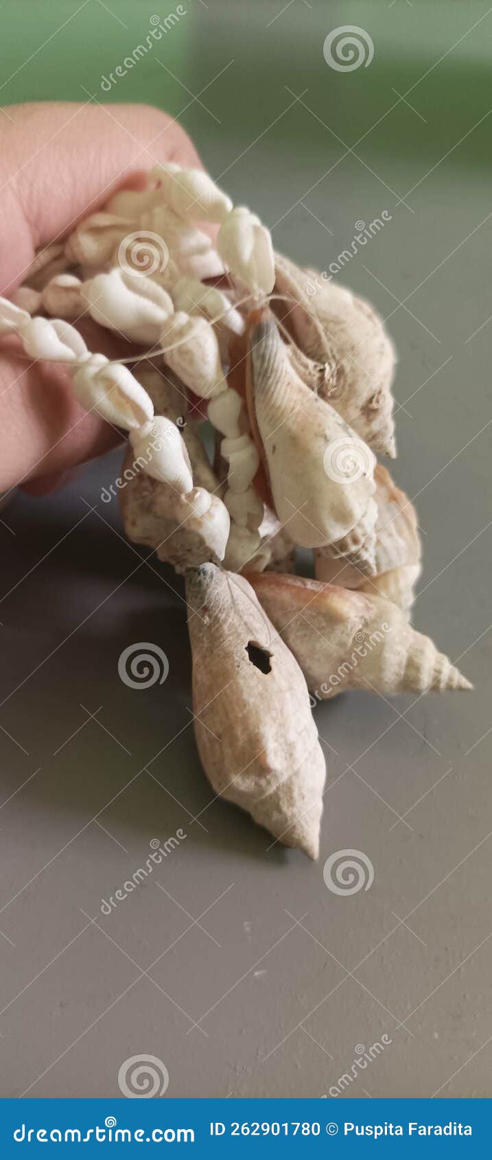 Unique Sea Shell Wall Hangings Stock Photo - Image of wall, shell ...