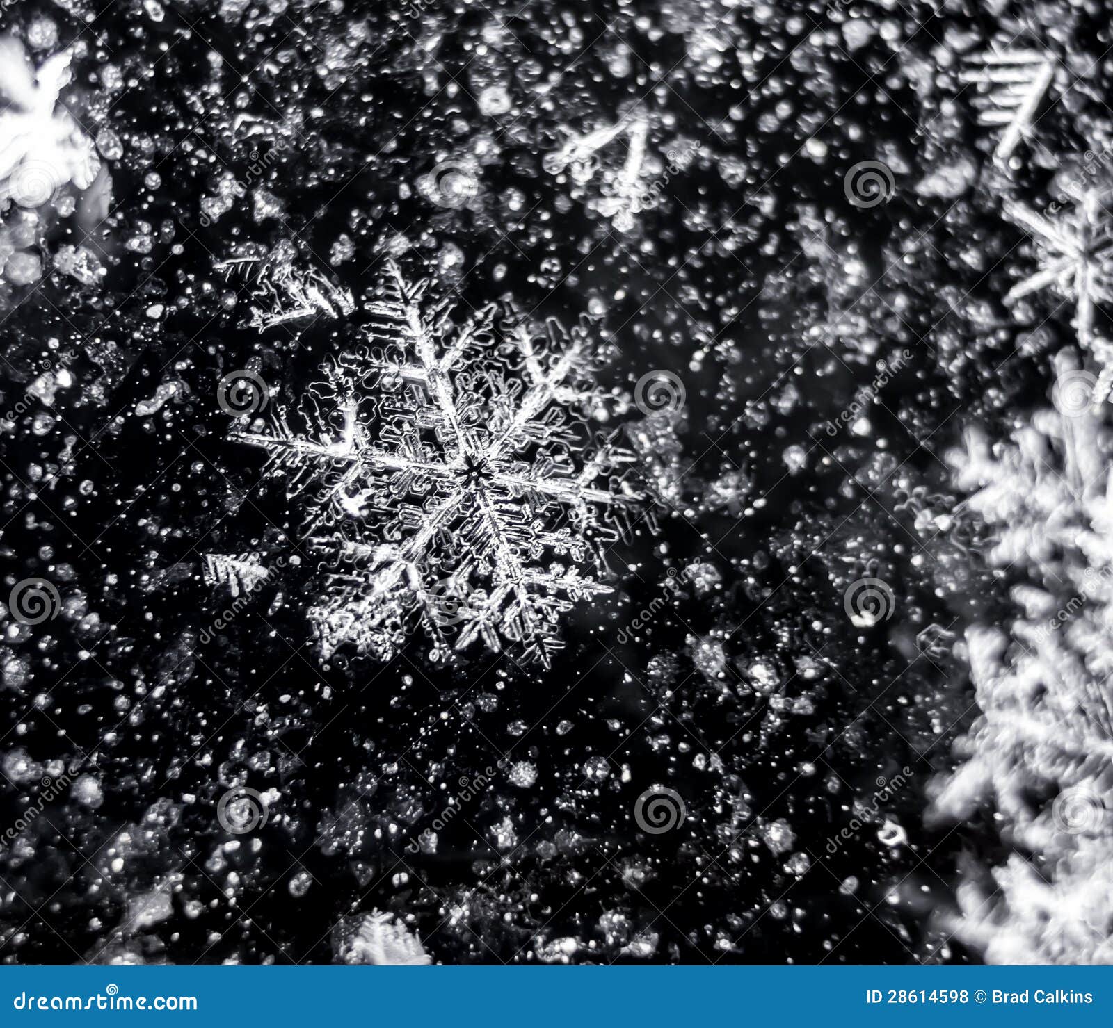 Unique snowflake stock photo. Image of pattern, seasons - 28614598