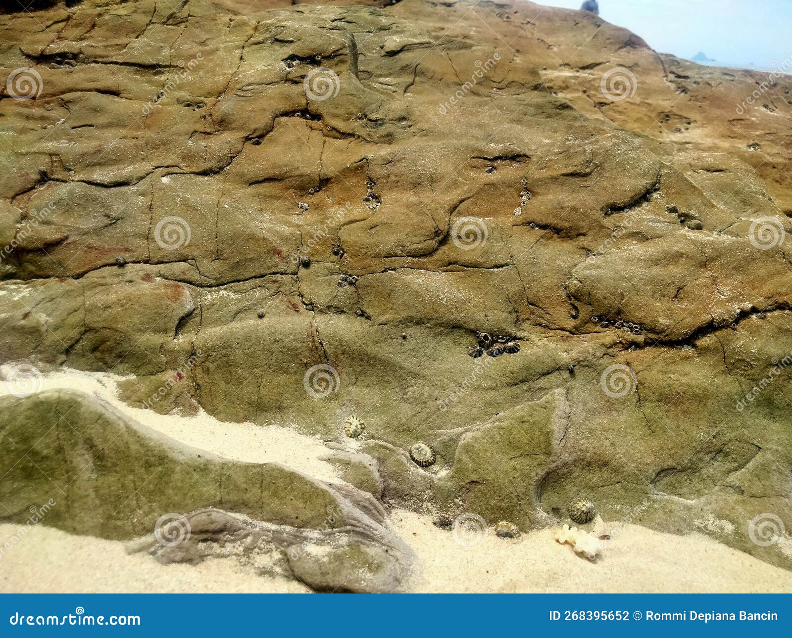 Unique Stones and Unique Colors on the Beach Stock Photo - Image of ...
