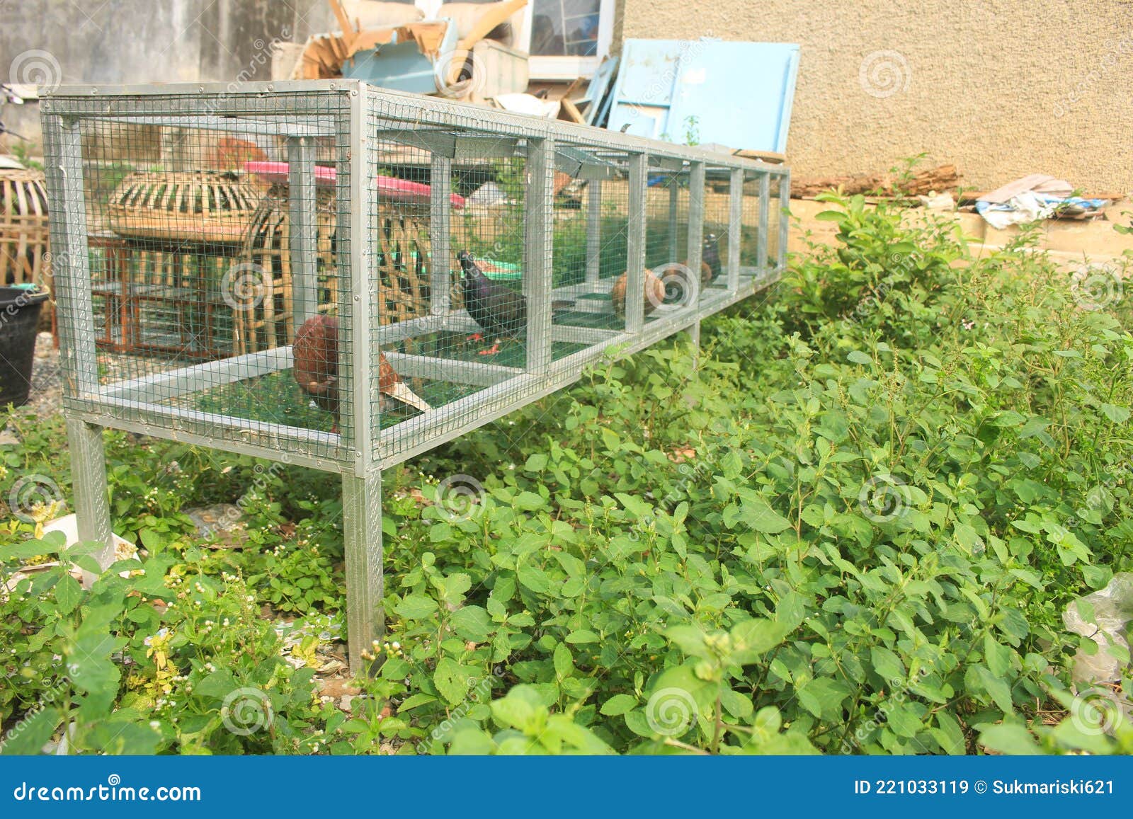 Unique and Strong Pigeon Cage because it is Made of Steel Frame Stock ...