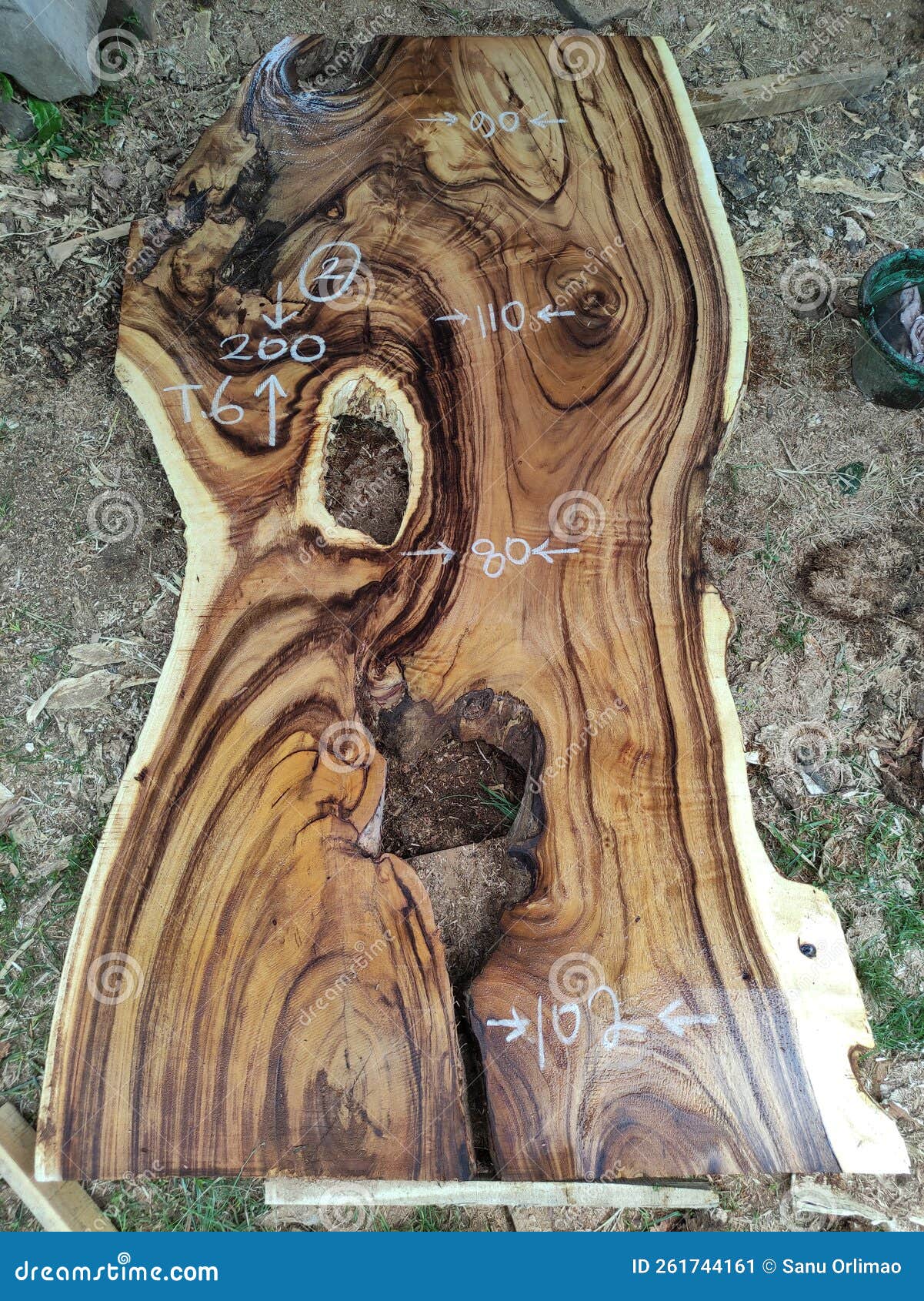 Unique Suar Wood Slab stock image. Image of epoxy, furniture - 261744161