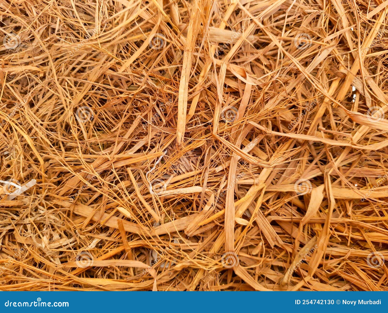 The Unique Texture of a Haystack Stock Photo - Image of haystack ...