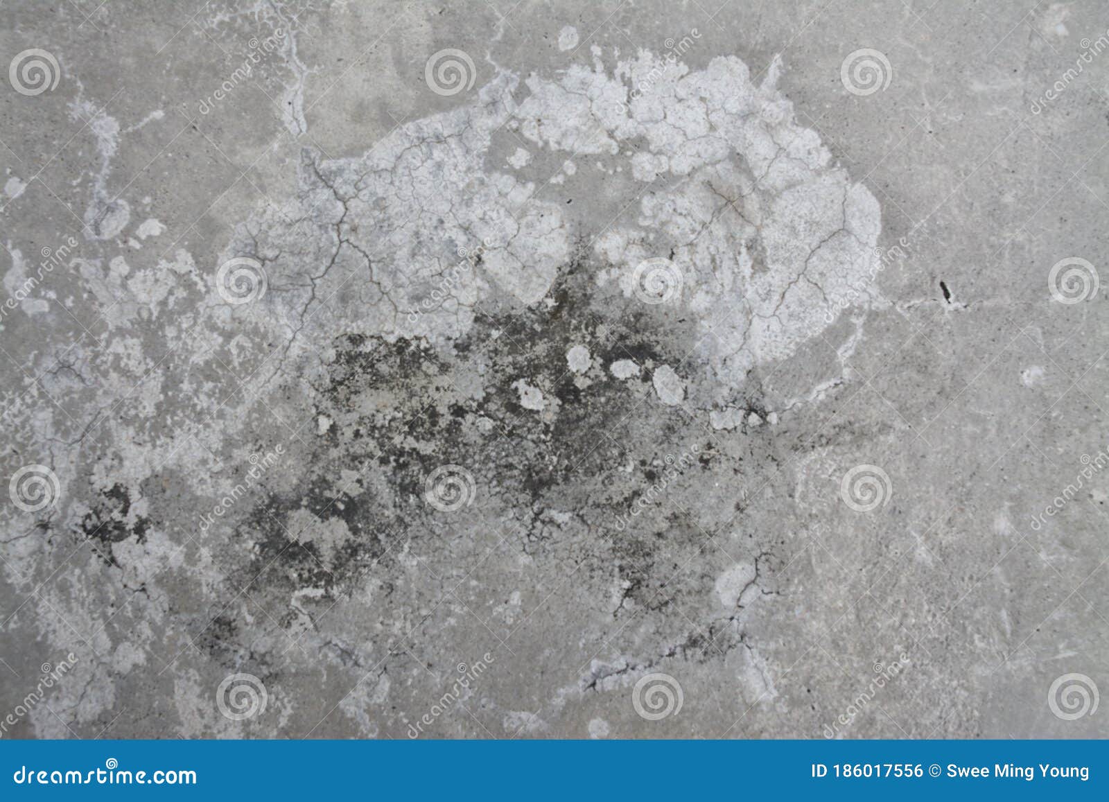 Unique Textures and Backgrounds for Decorative Wallpaper Stock ...