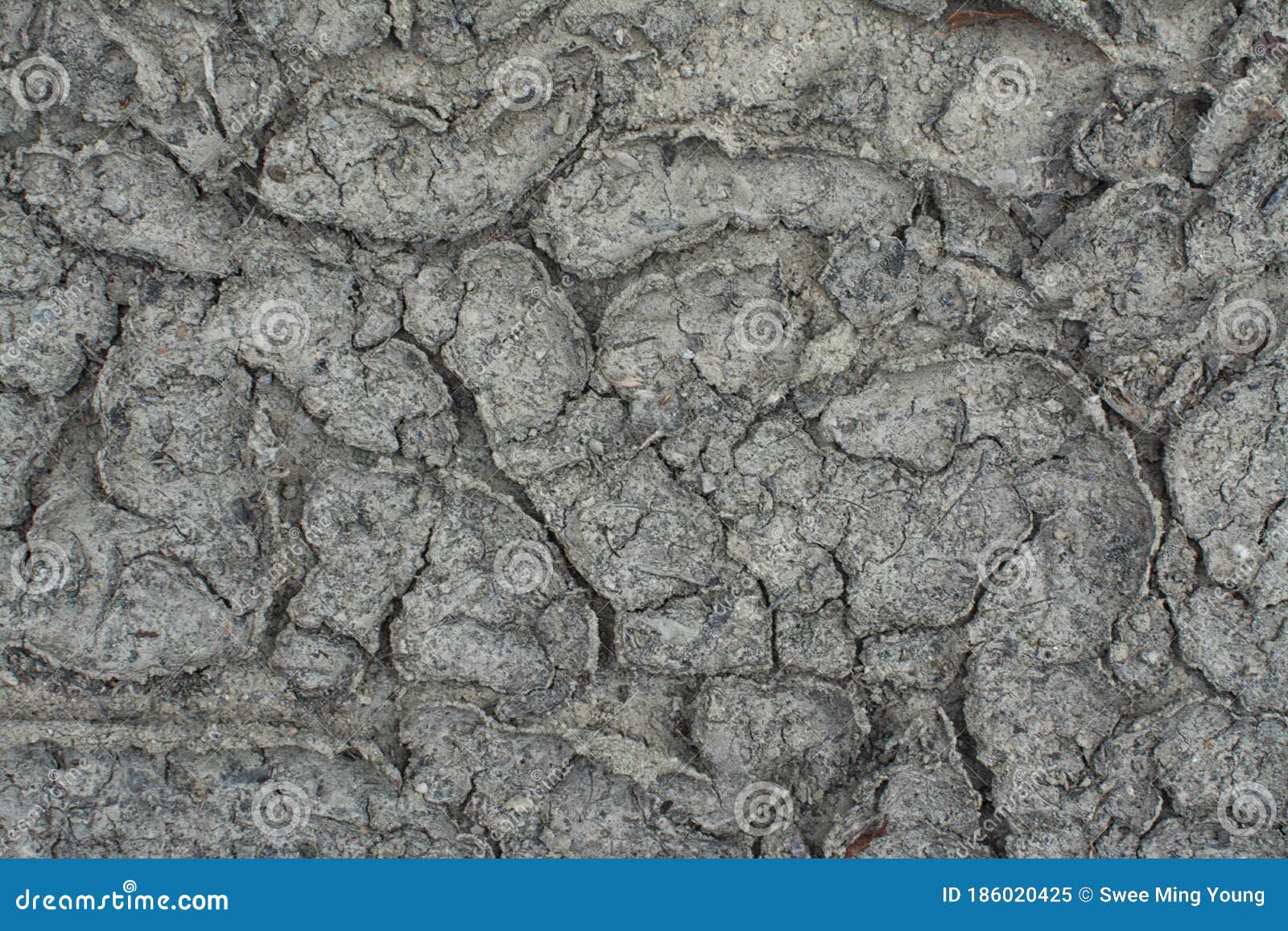 Unique Textures and Backgrounds for Decorative Wallpaper Stock Image ...