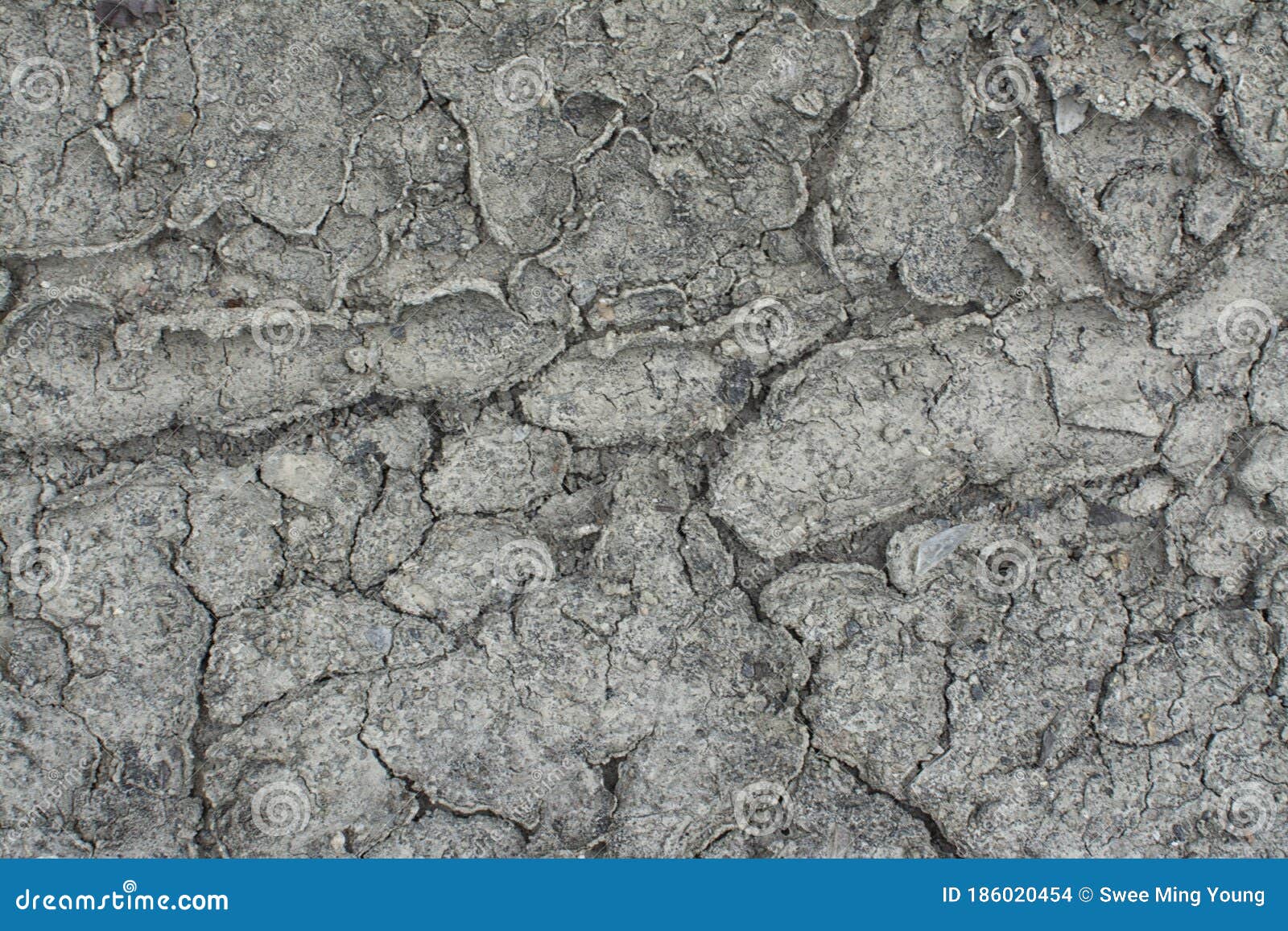 Unique Textures and Backgrounds for Decorative Wallpaper Stock Photo ...