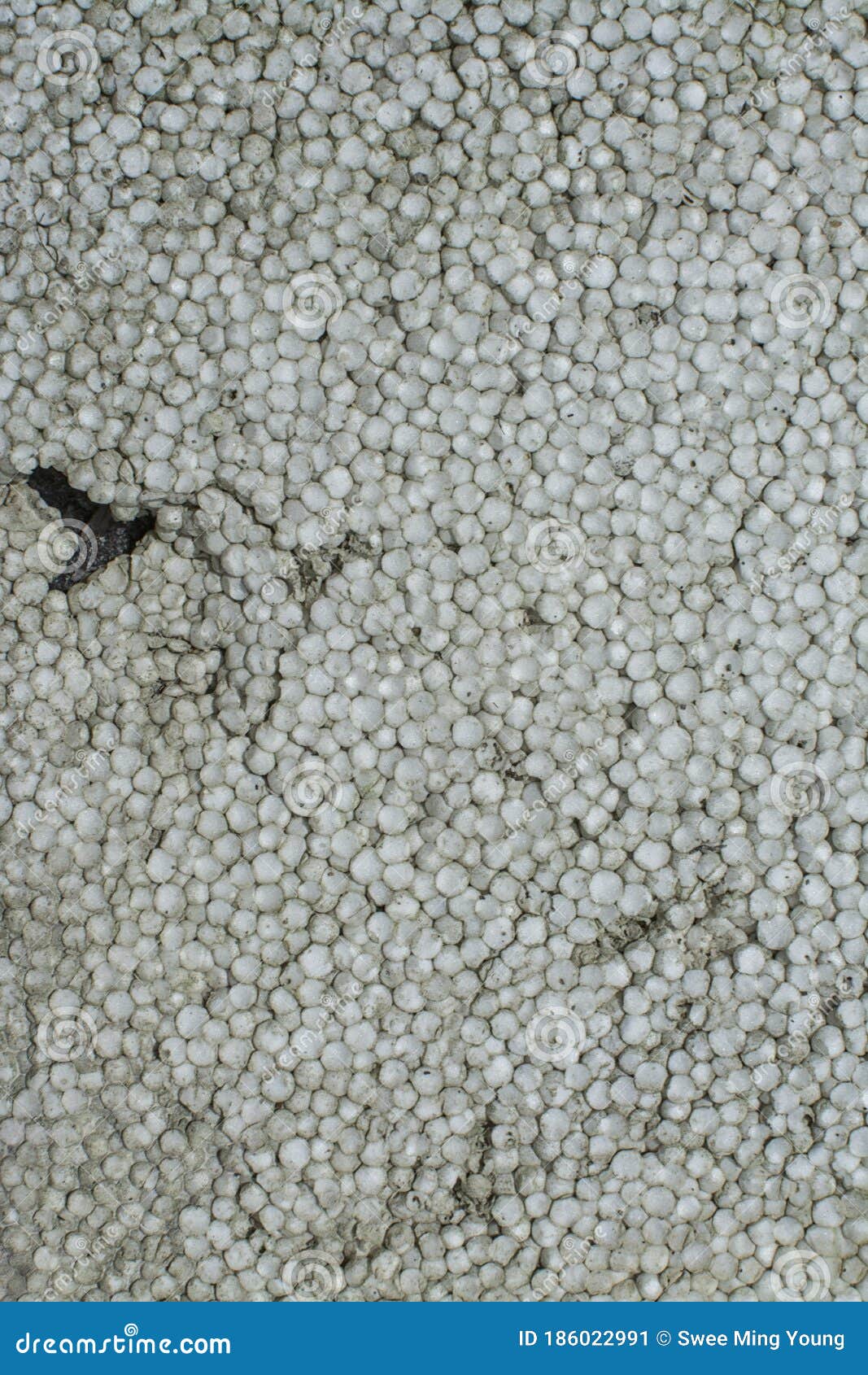 Unique Textures and Backgrounds for Decorative Wallpaper Stock Image ...