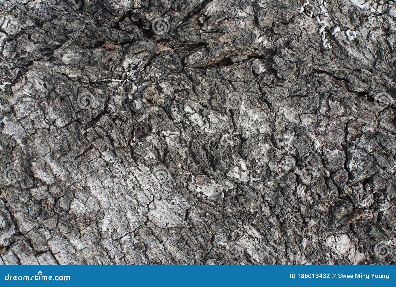 Unique Textures and Backgrounds for Decorative Wallpaper Stock Photo ...