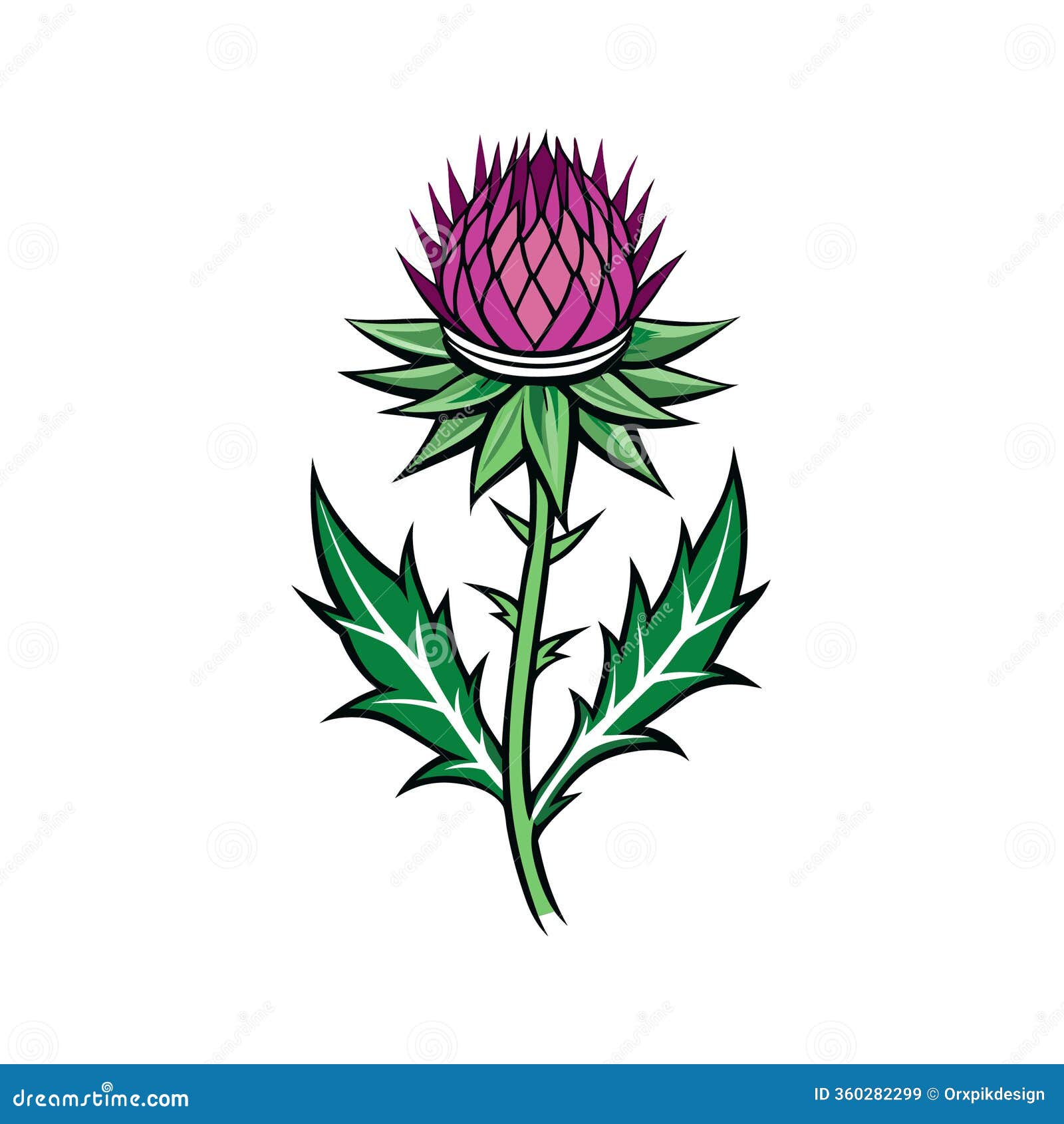 Unique Thistle Flower Illustration in Bold Style Stock Illustration ...
