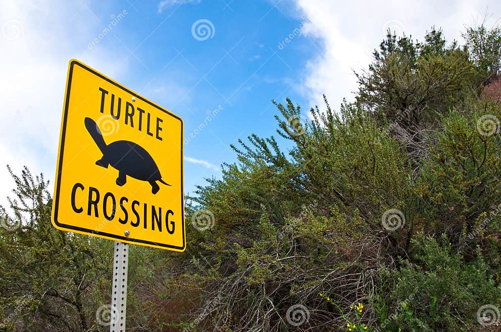Unique Turtle Crossing Sign Stock Image - Image of columbia, okanagan ...