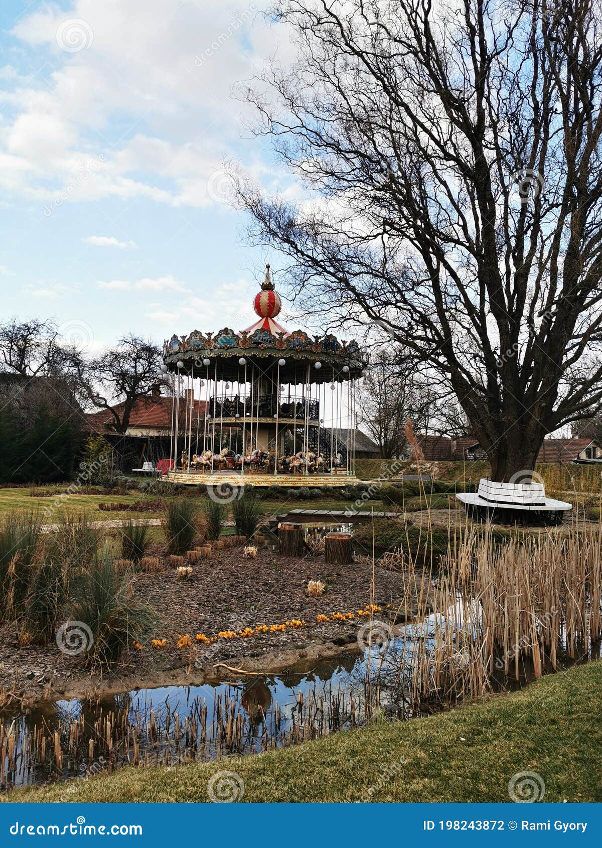 Unique view carousel stock photo. Image of park, carousel - 198243872