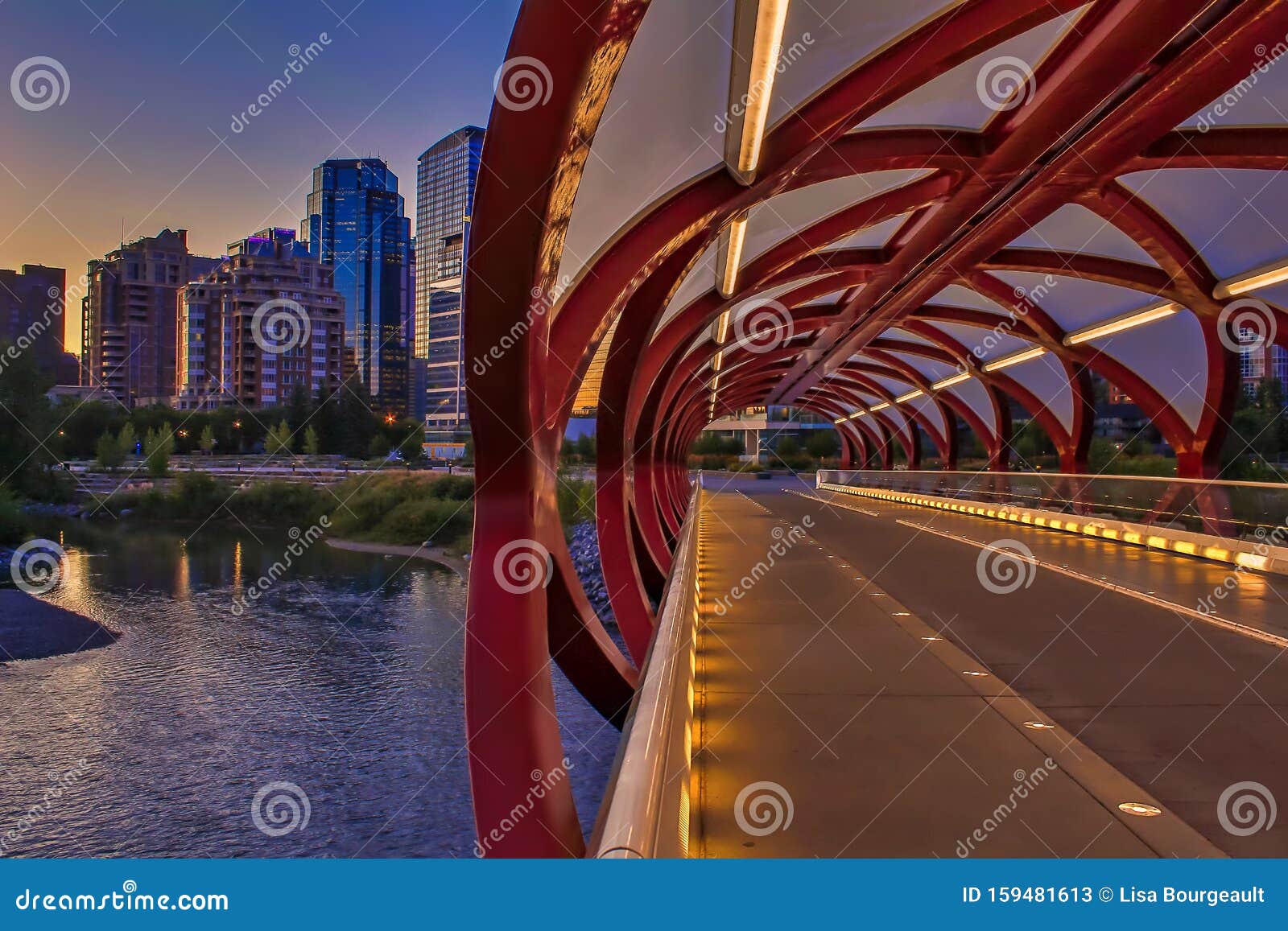 Walking through the Peace Bridge Editorial Stock Photo - Image of ...