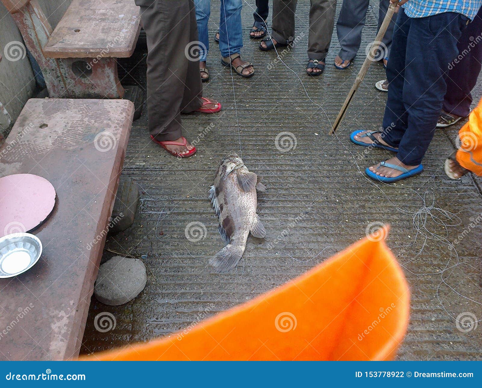 Unique way to catch fish stock photo. Image of body - 153778922
