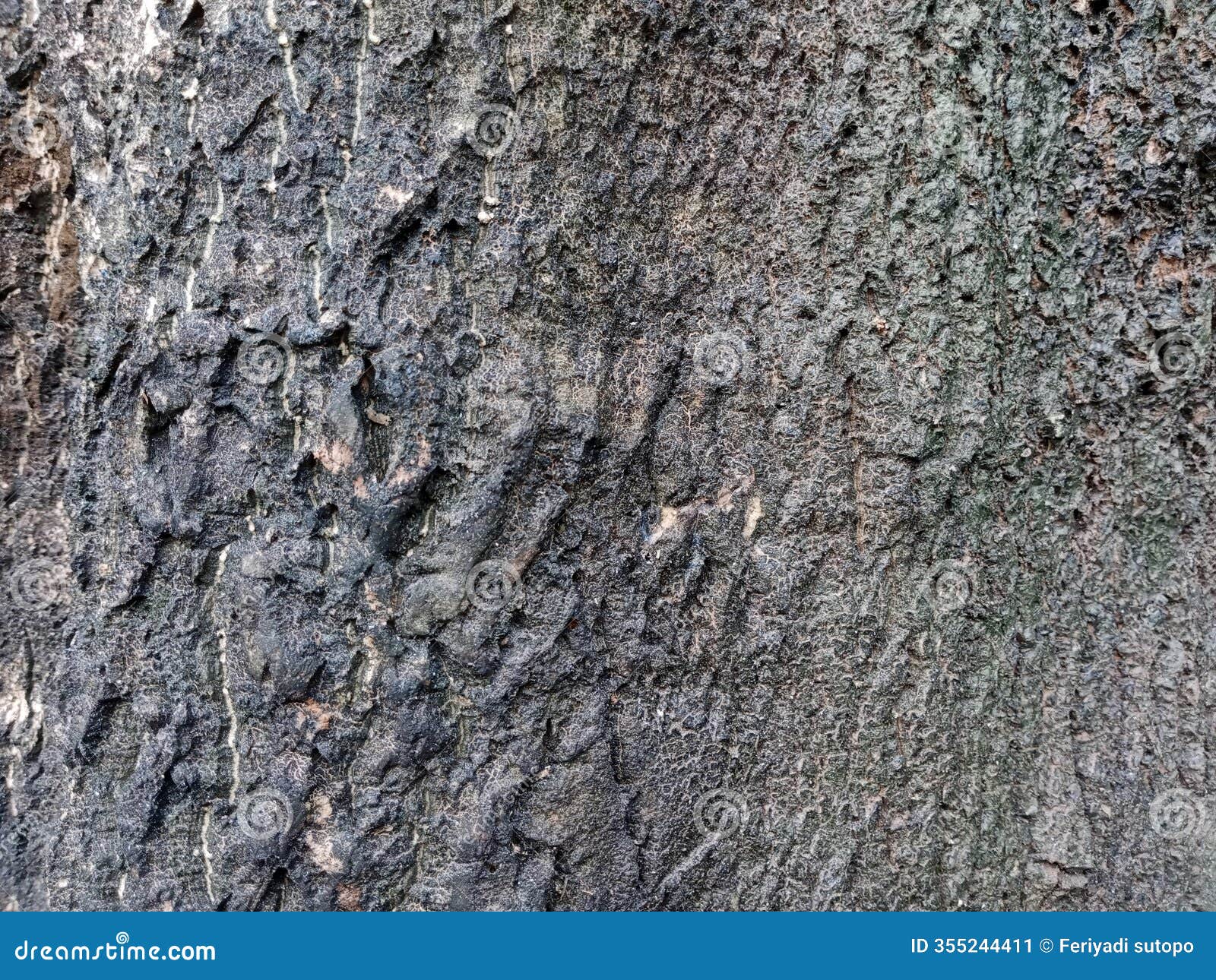 Unique Wood Bark Background Motif Stock Image - Image of unique ...