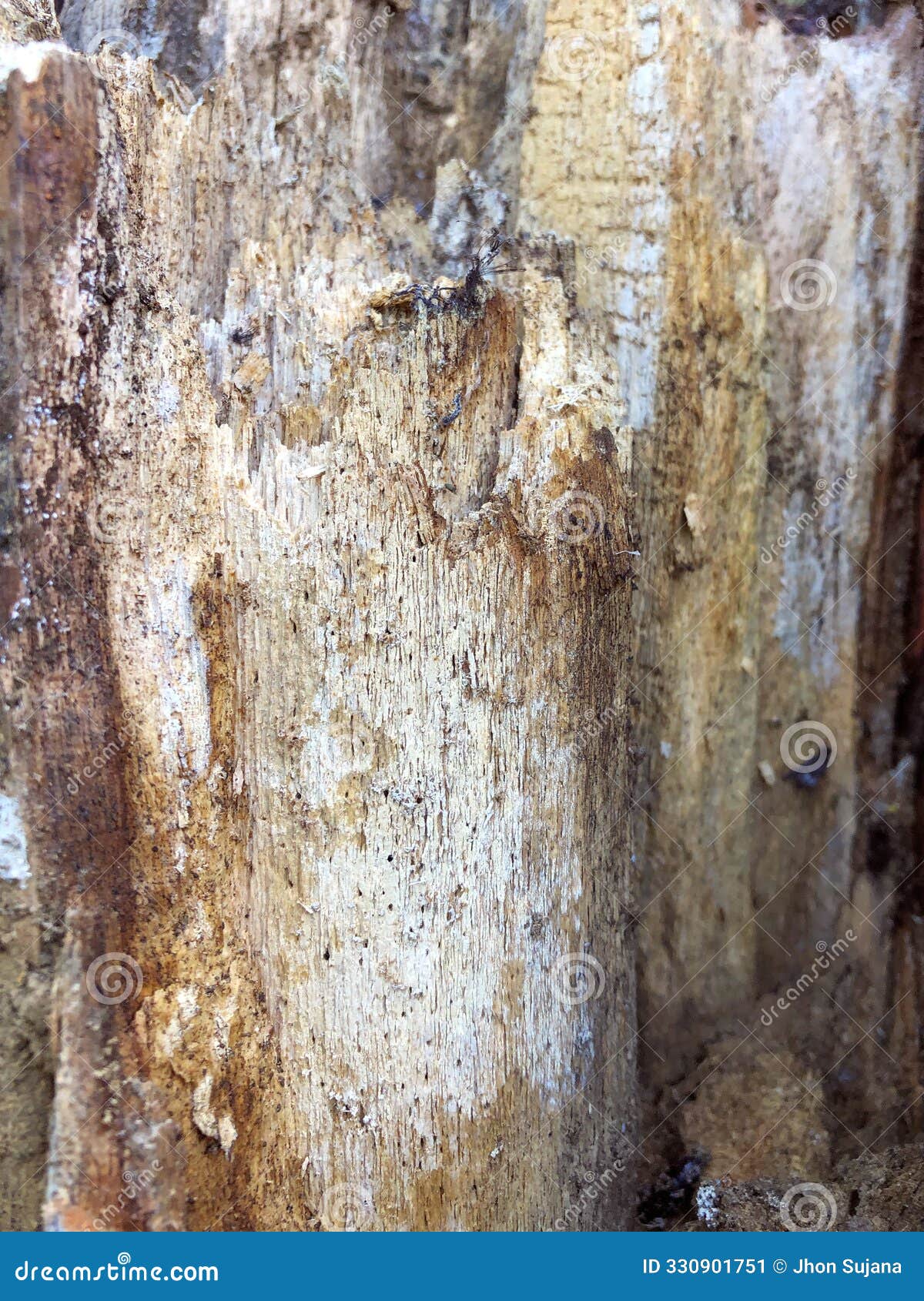 Unique Wood Pattern and Texture Stock Image - Image of produce ...