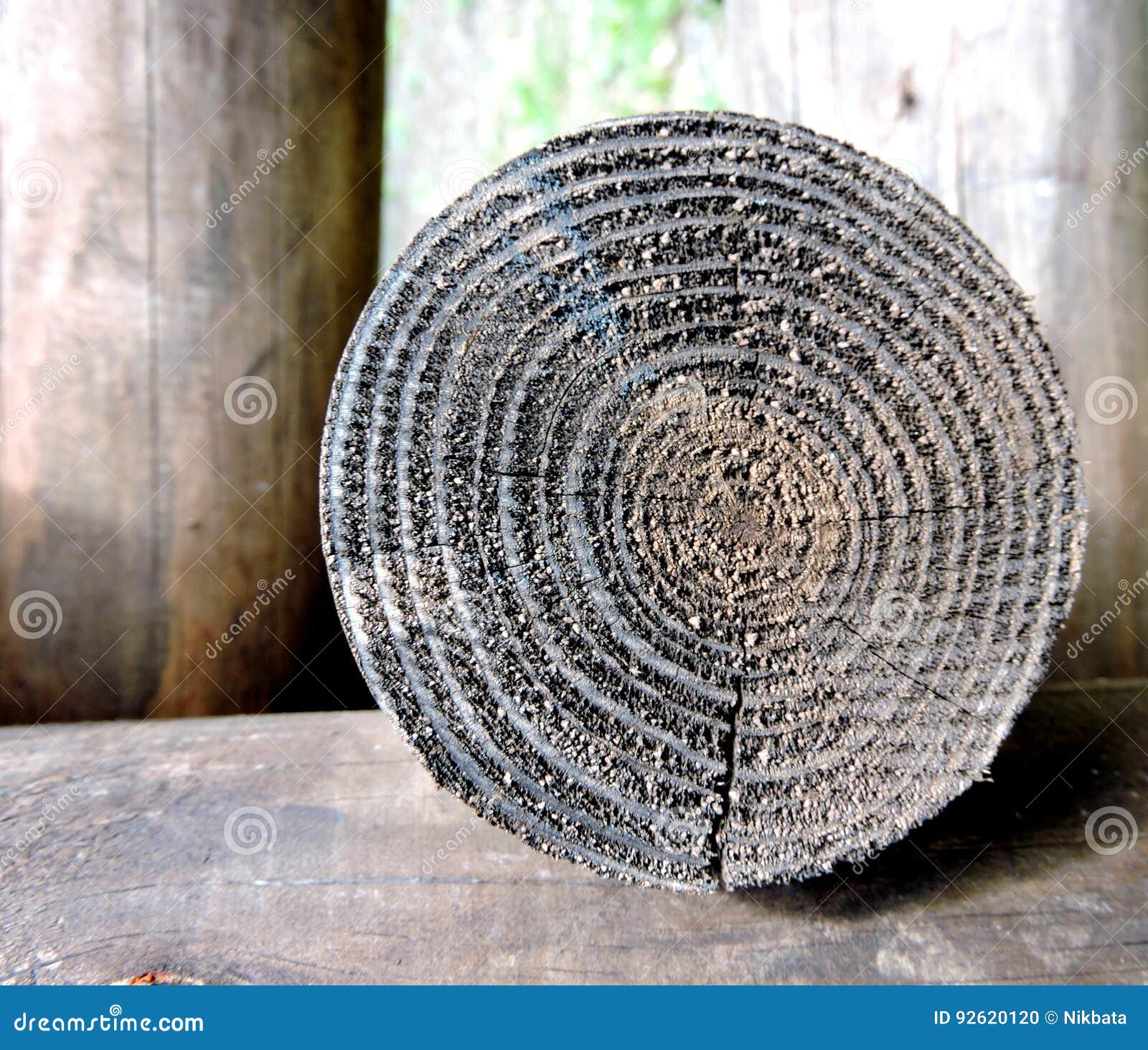 Unique Wooden Branch Texture or Pattern Stock Photo - Image of ...