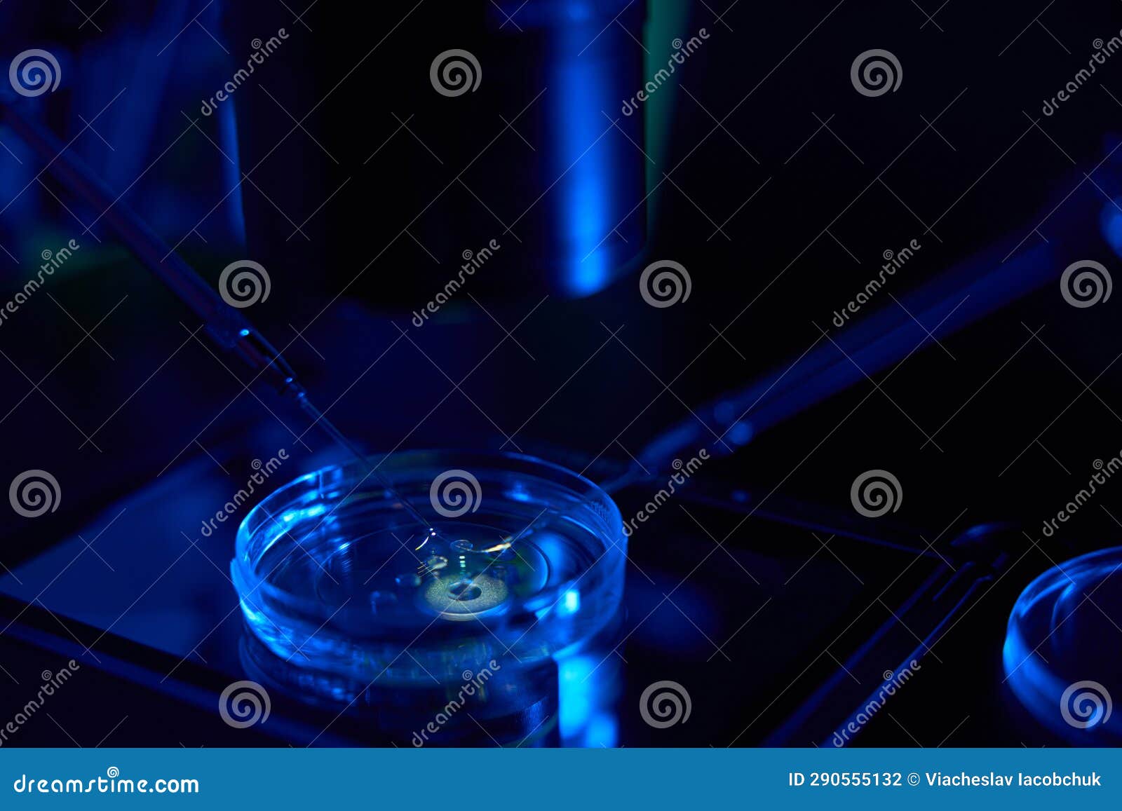 Unique Working Tool of Embryologist is Set of Micromanipulators Stock ...