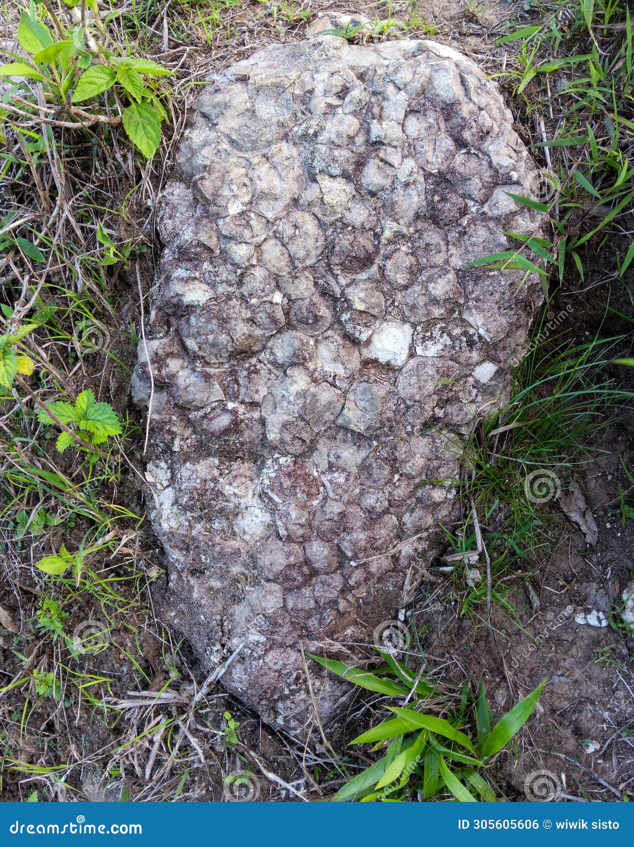 Uniquely Shaped Stone Textures in the Hills Stock Photo - Image of ...