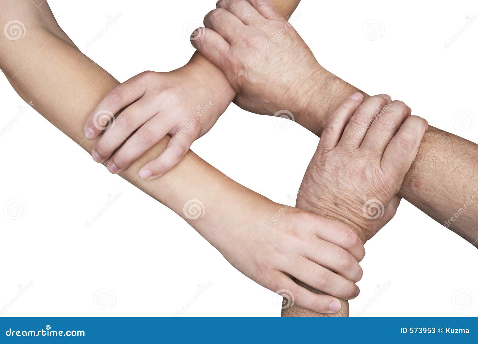 United Hands Isolated with Clipping Path Stock Image - Image of arms ...